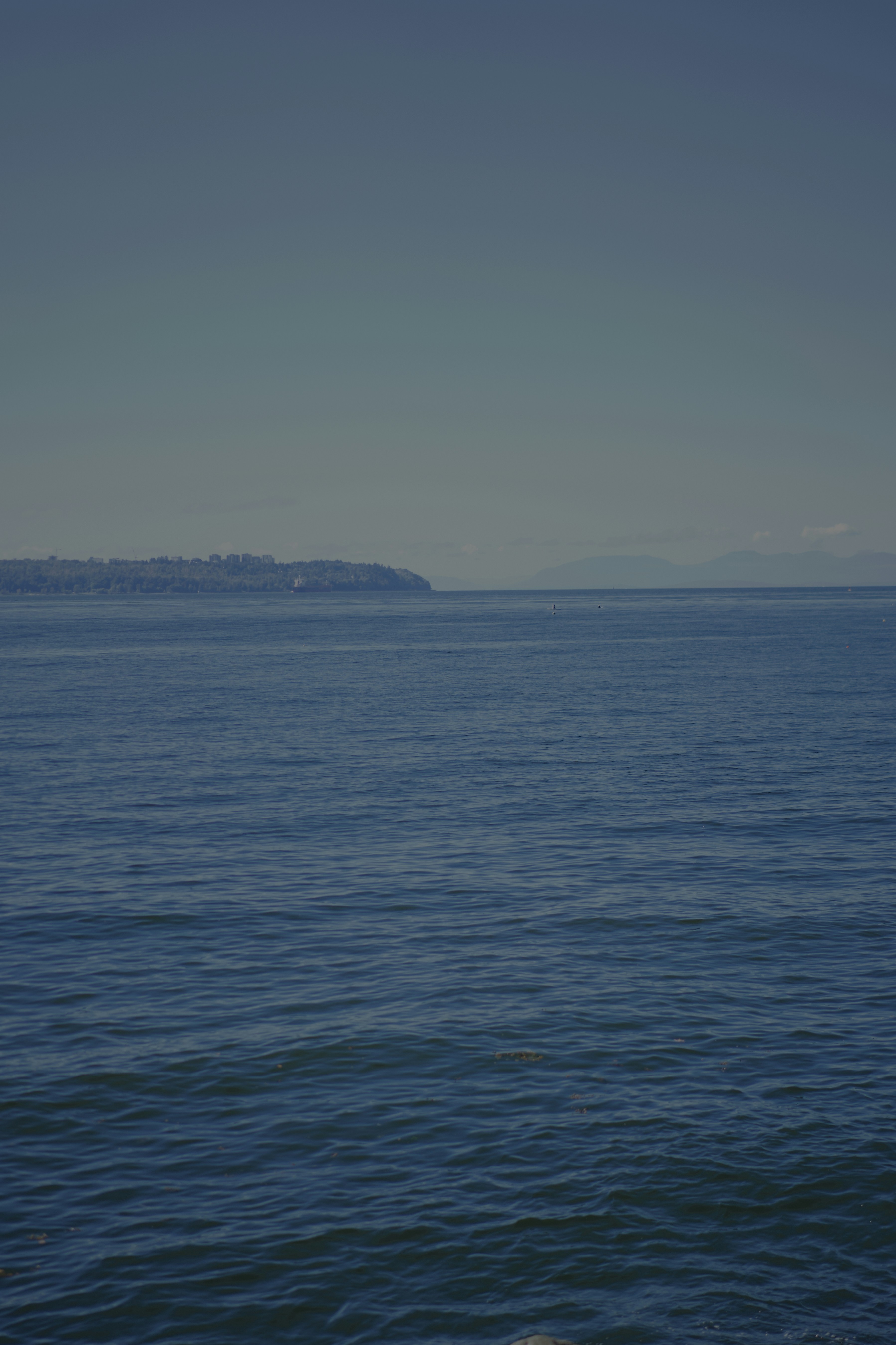 Calm Horizon Over Blue Expanse