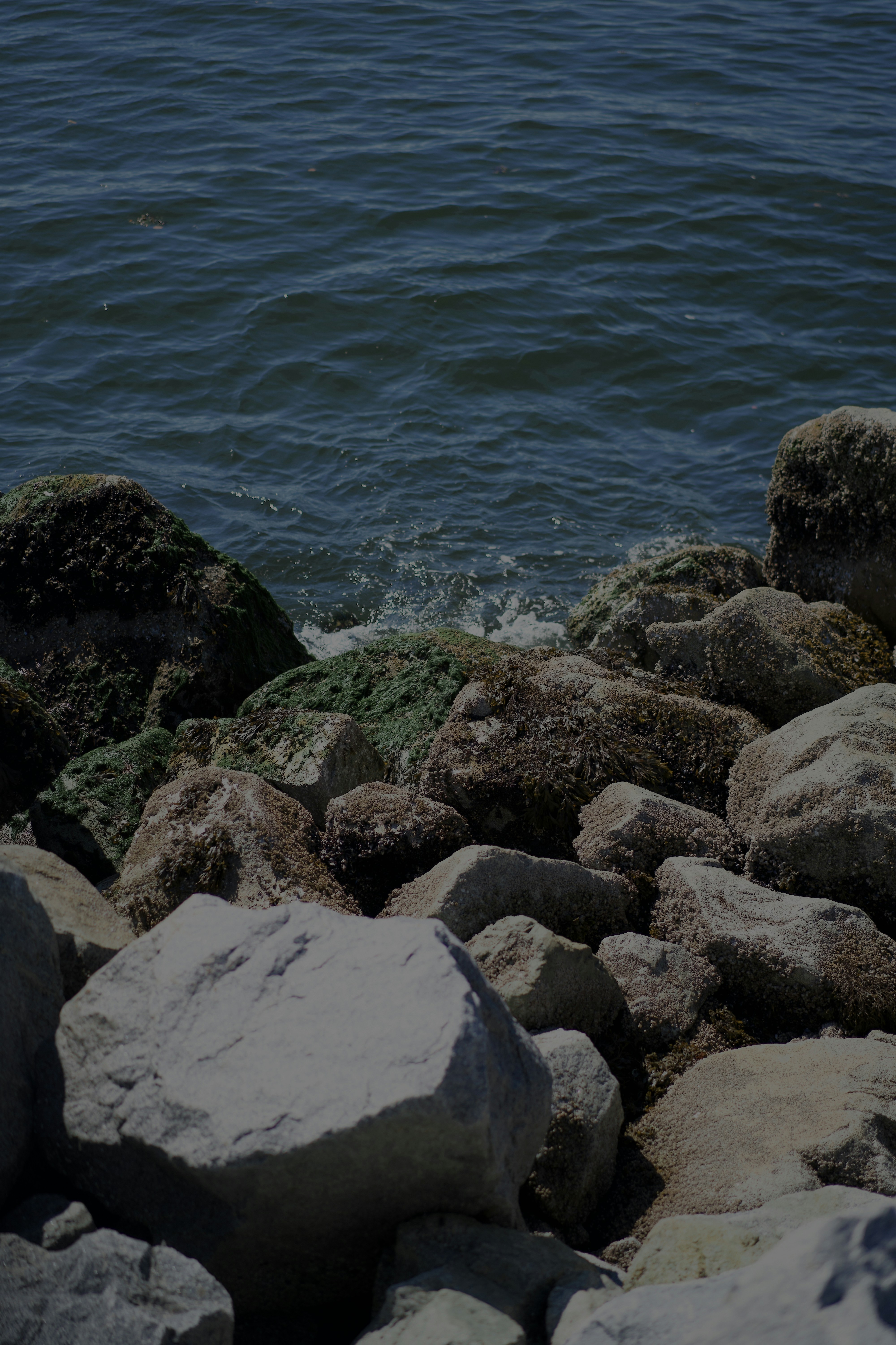 Sea Wall Among Smooth Giants: Quiet Tide Against Weathered Edges