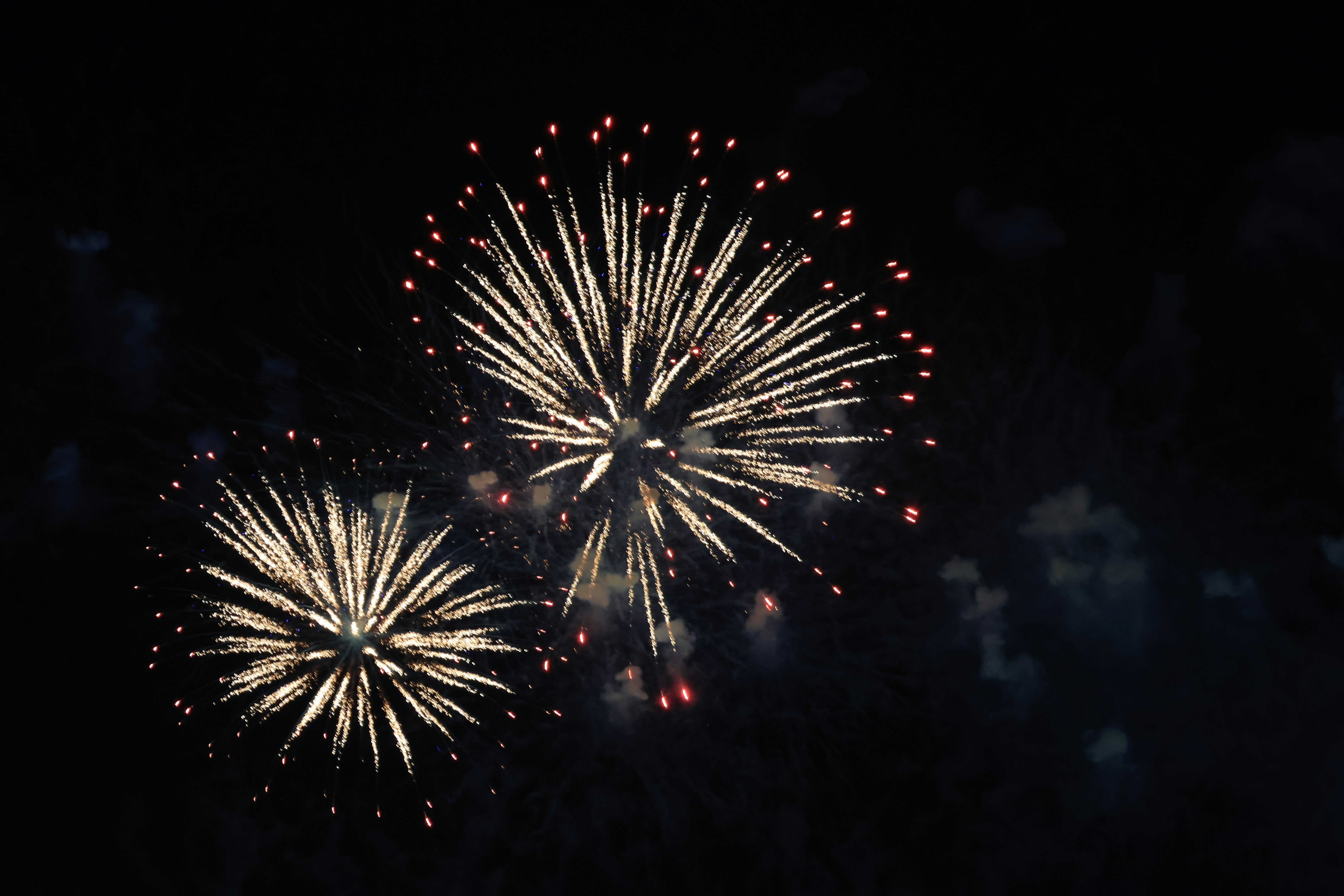 Twin Firework Bursts Over Night Sky