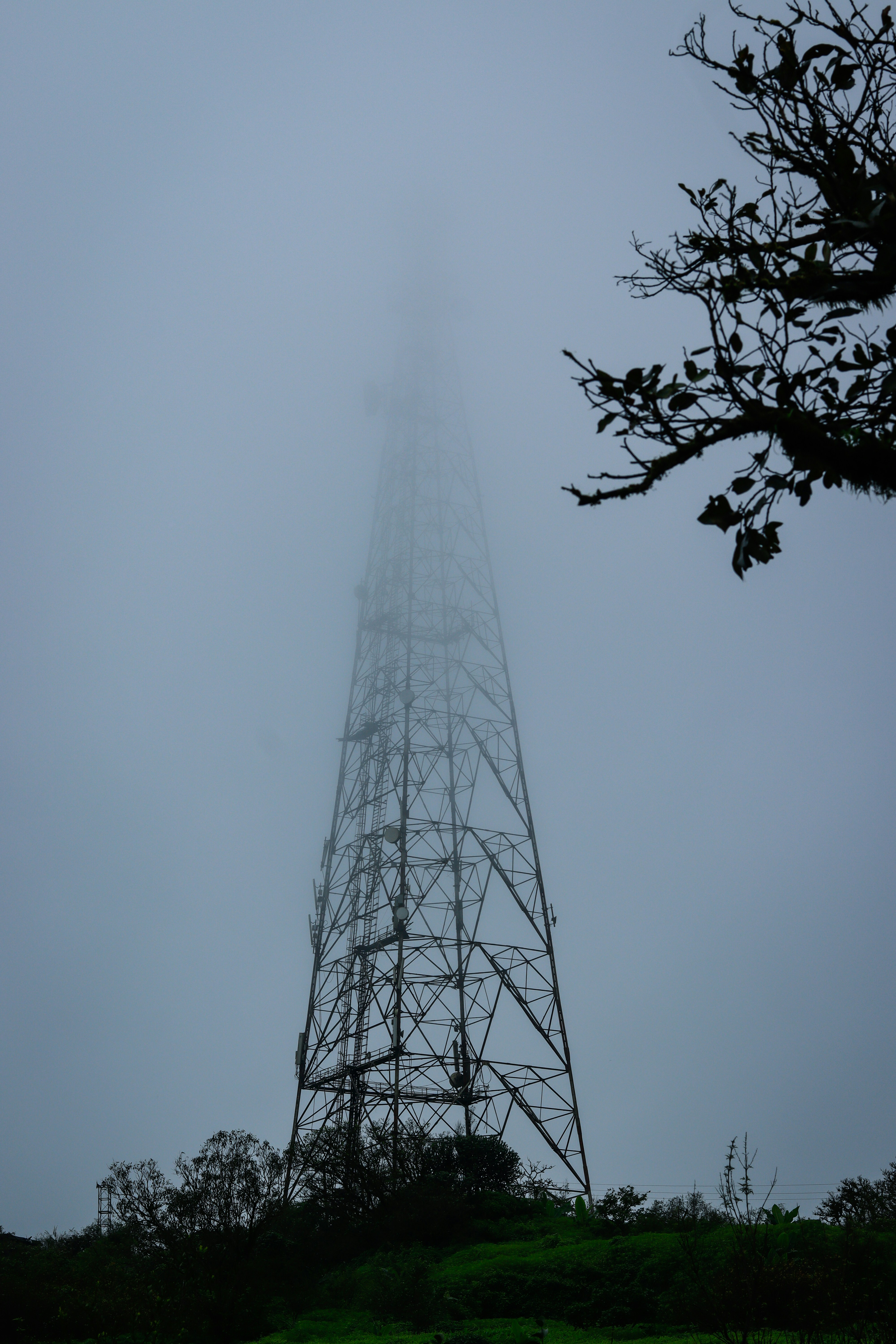 Fog-Cloaked Lattice: A Radio Tower Reaches Into Mist
