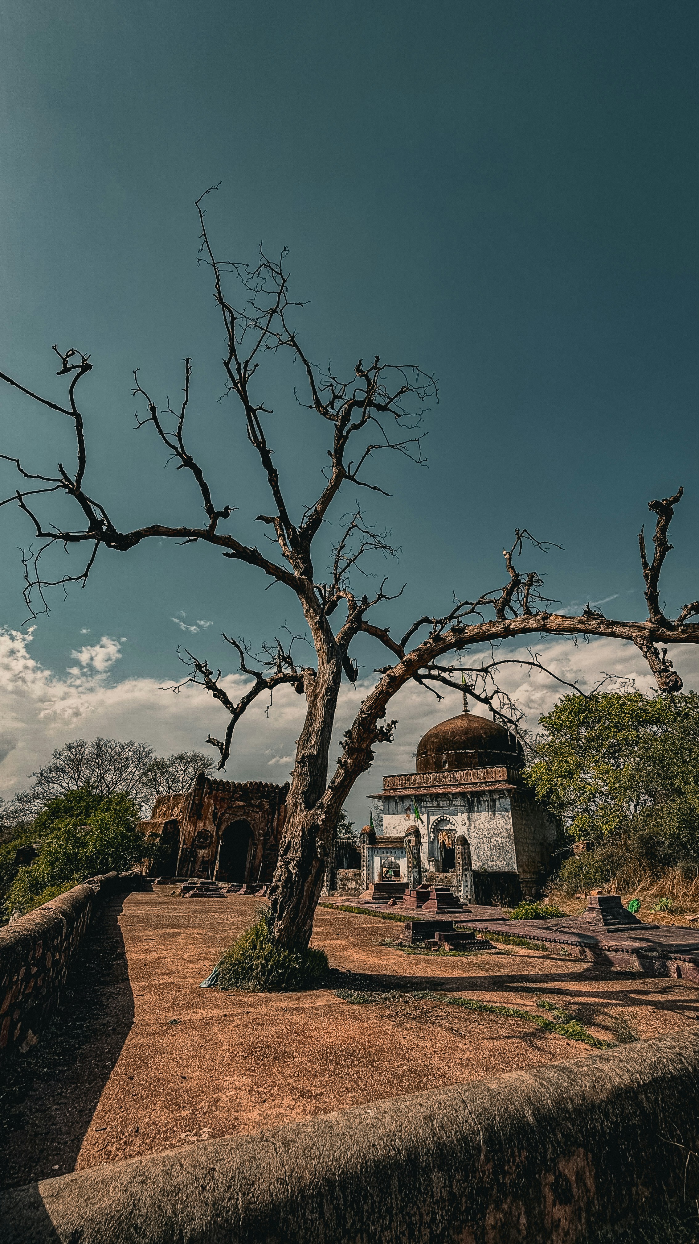 Desolate Tree and Ruined Dome: A Quiet Vista of Timeworn Architecture