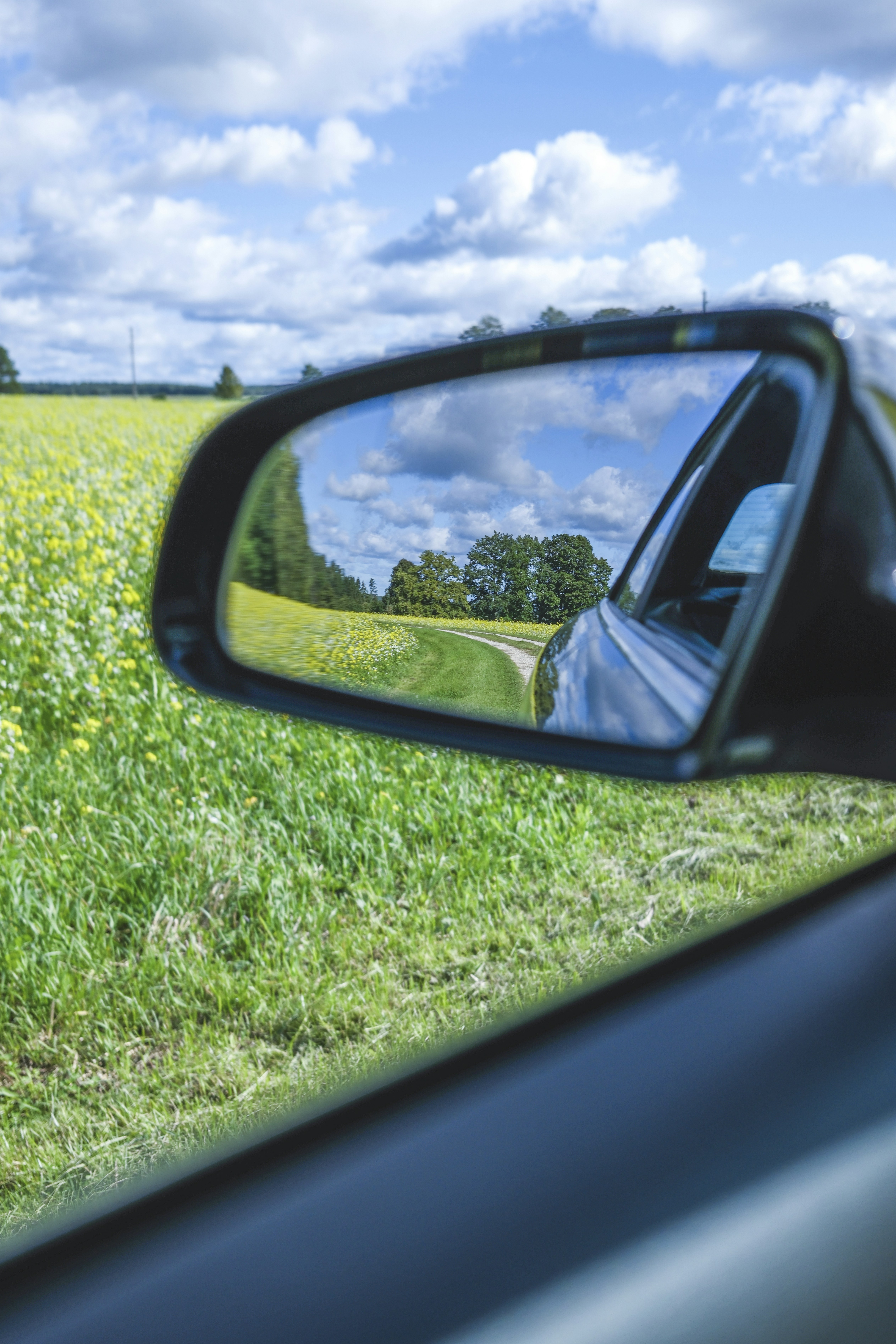 Side-View Mirror Portal: A Country Road Reflected