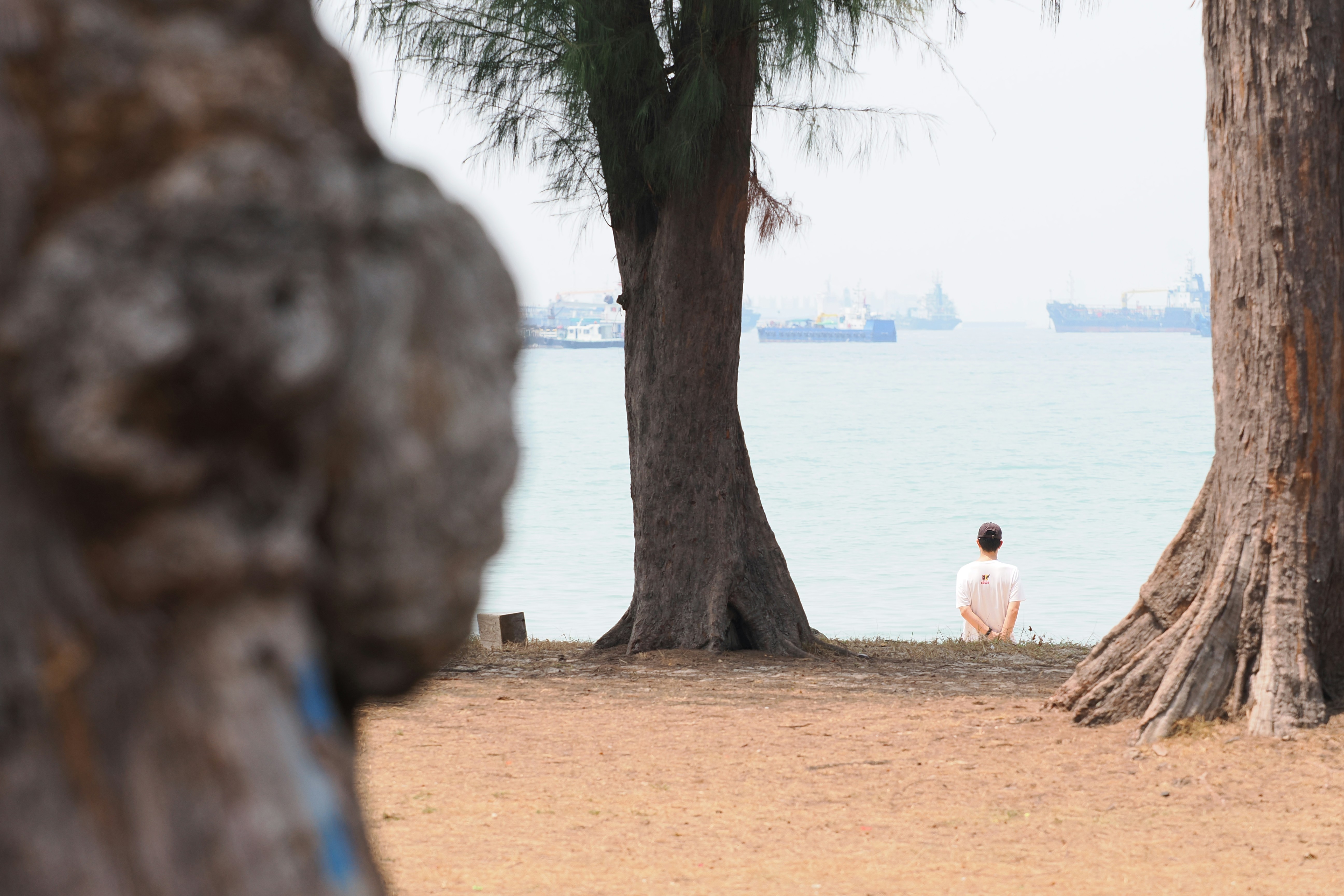 Solitary Observer by the Shoreline