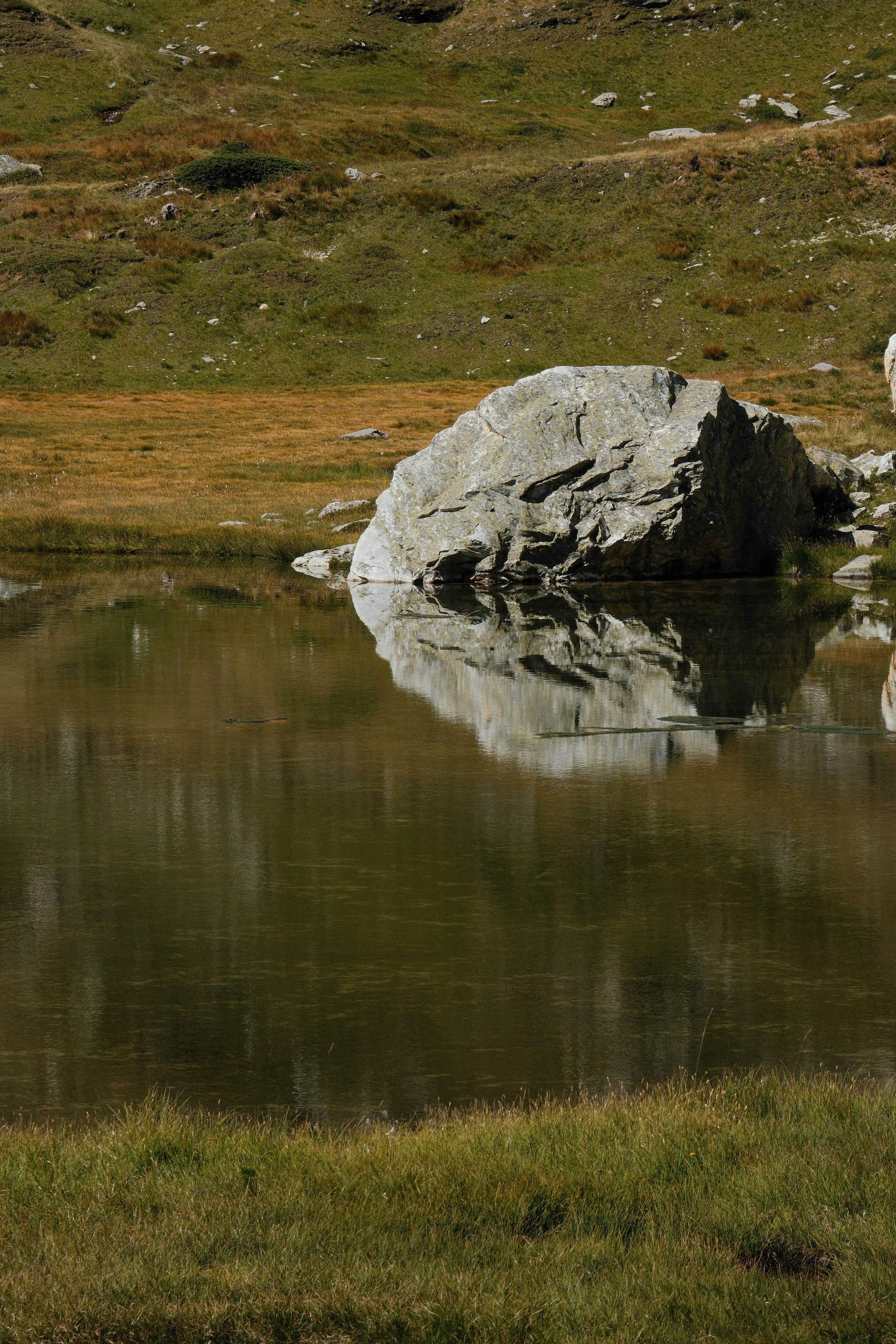 Solitary Granite Sentinel at the Lake