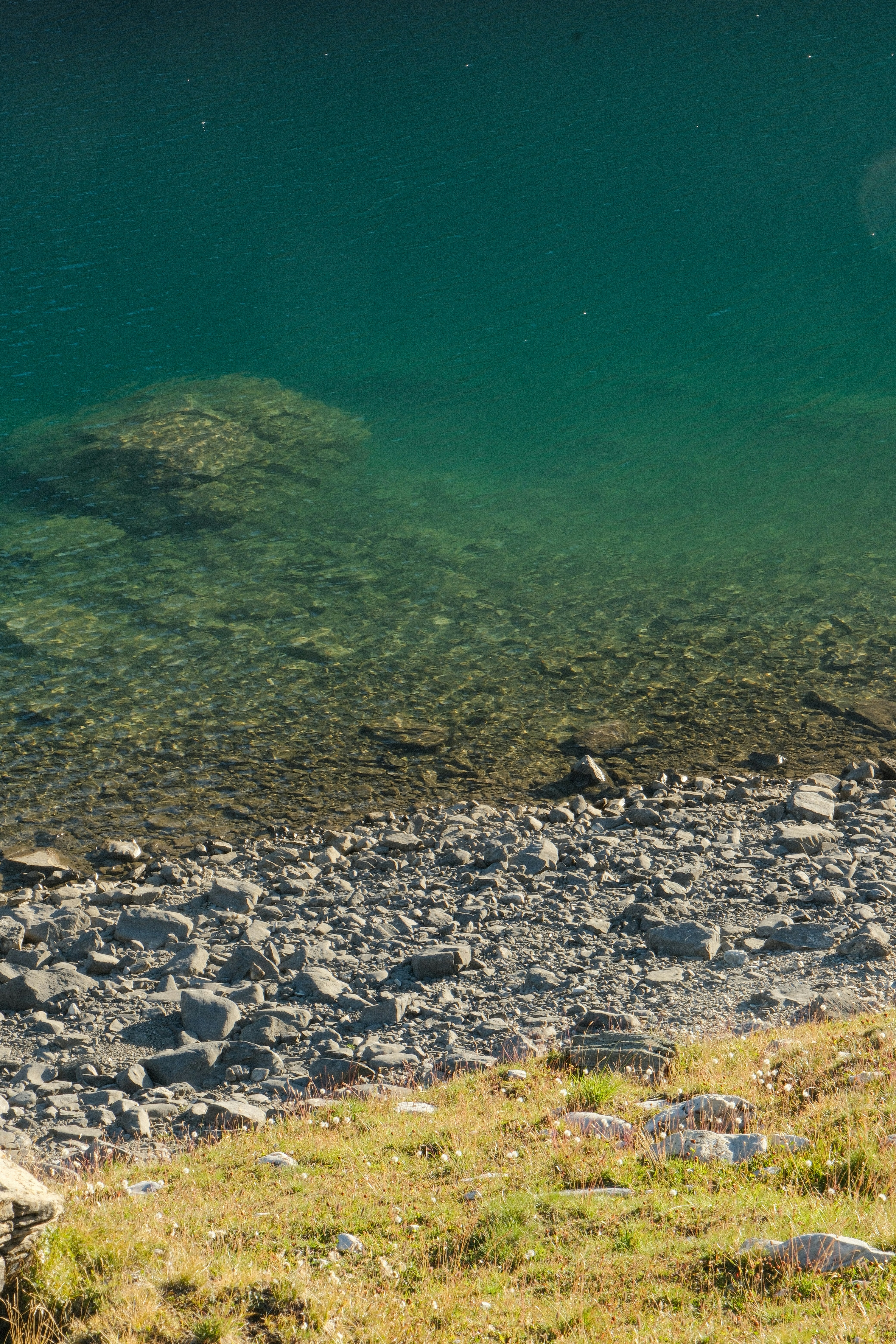 Stone Shoreline at Verdant Coastal Gradient