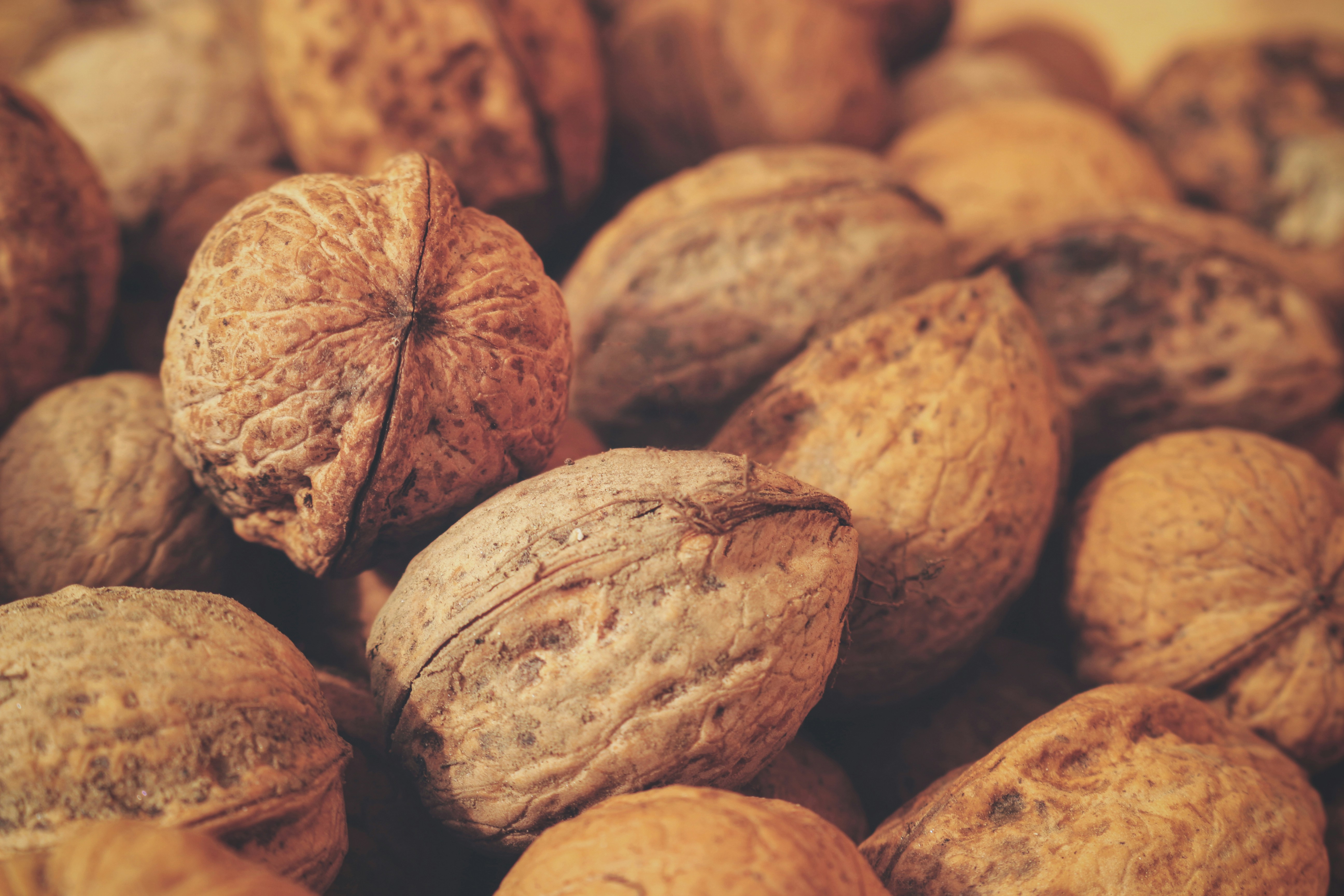 Walnut Mosaic: Morning Light on Shelled Nuts