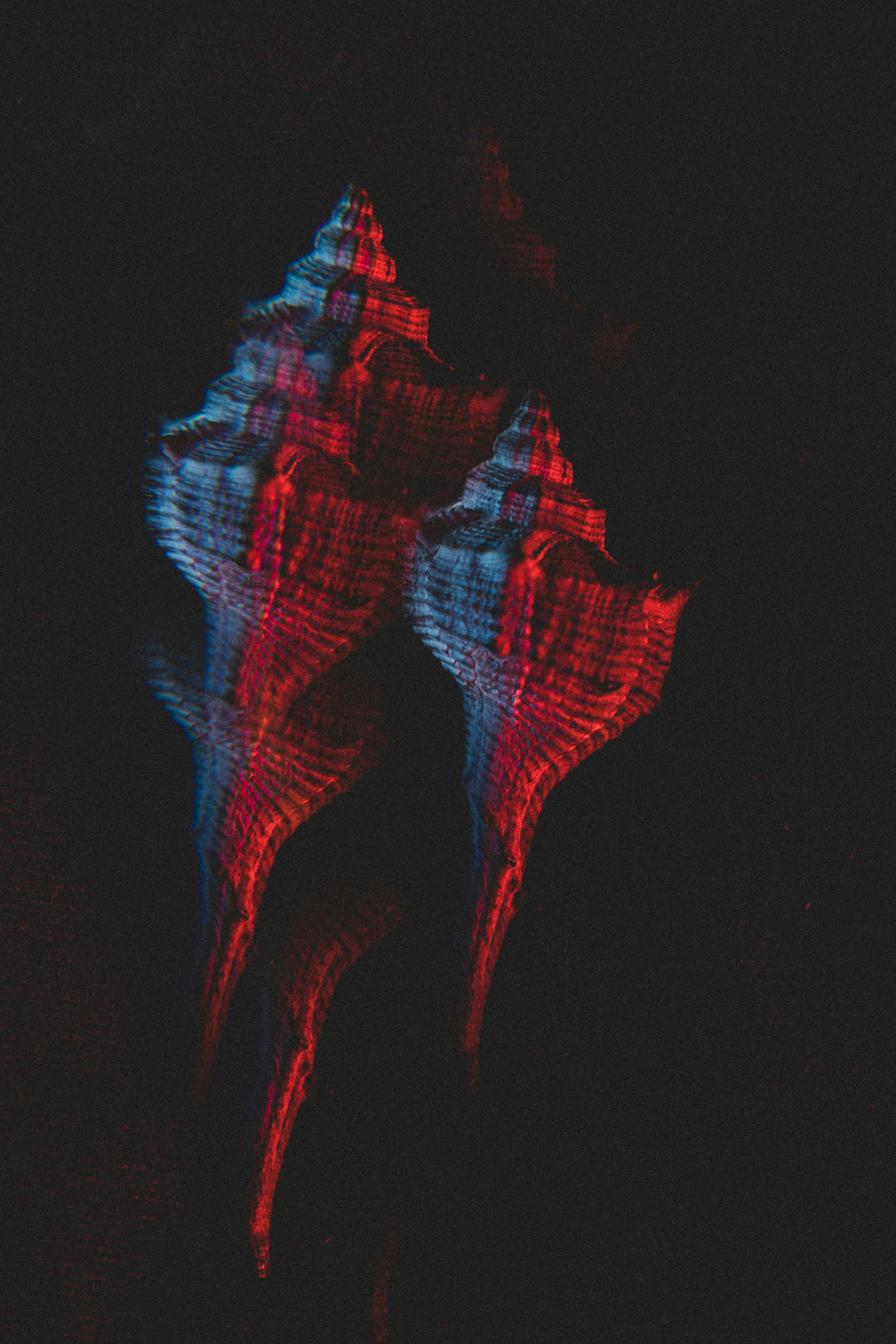 Chromatic Echoes: Double-Outlined Flame Sculpture Emerges from Darkness