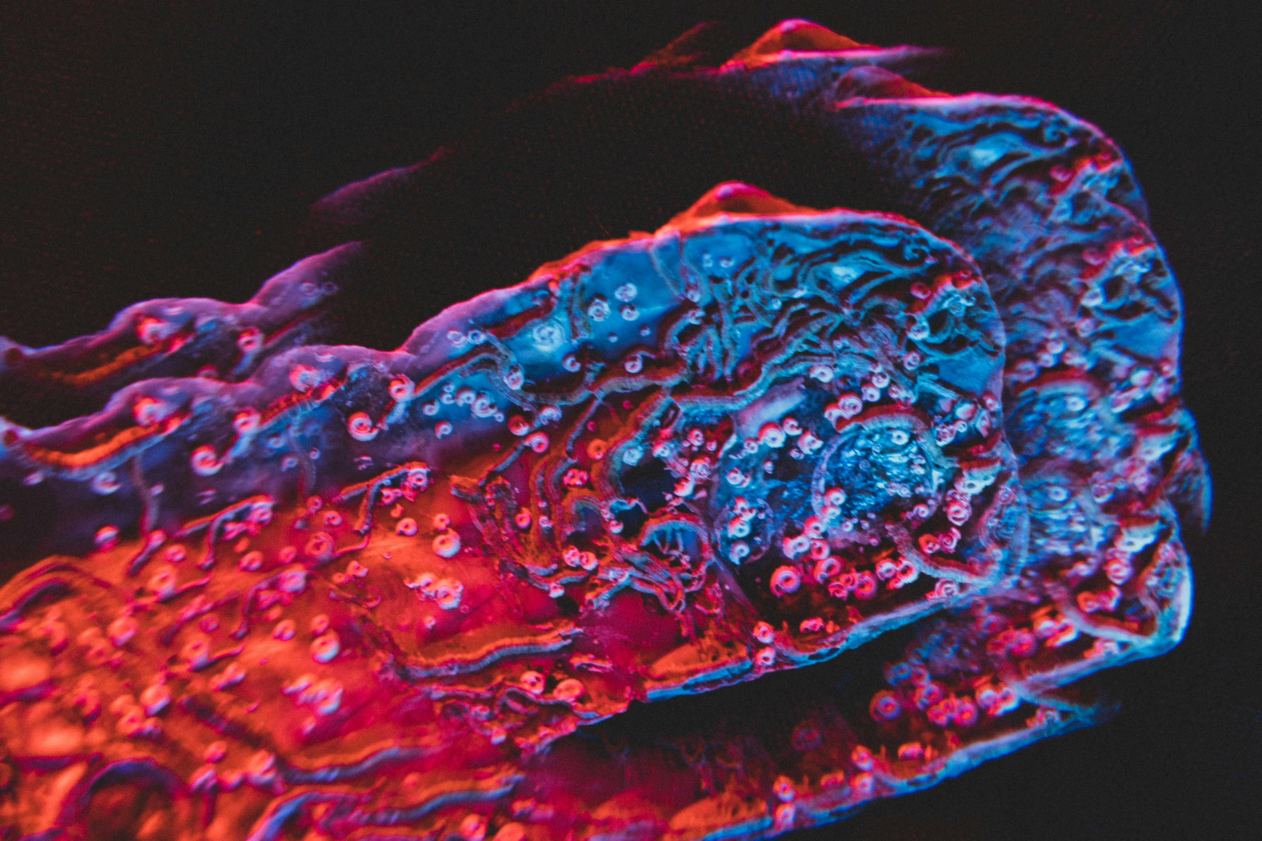 Crimson Currents: A Macro Study of Textured Color and Form