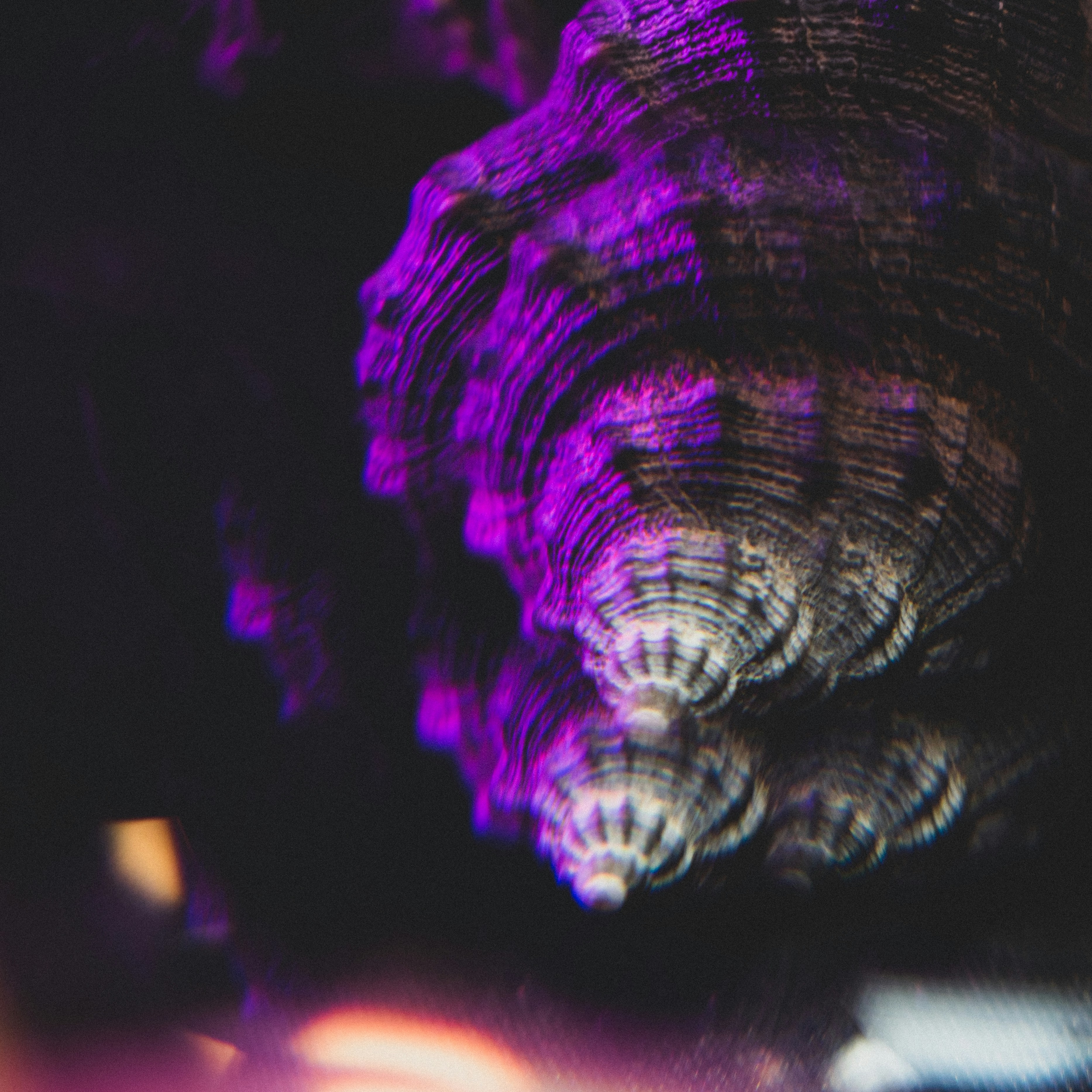 Purple Spiral Glow: A Deep-Sea Shell in Neon Light