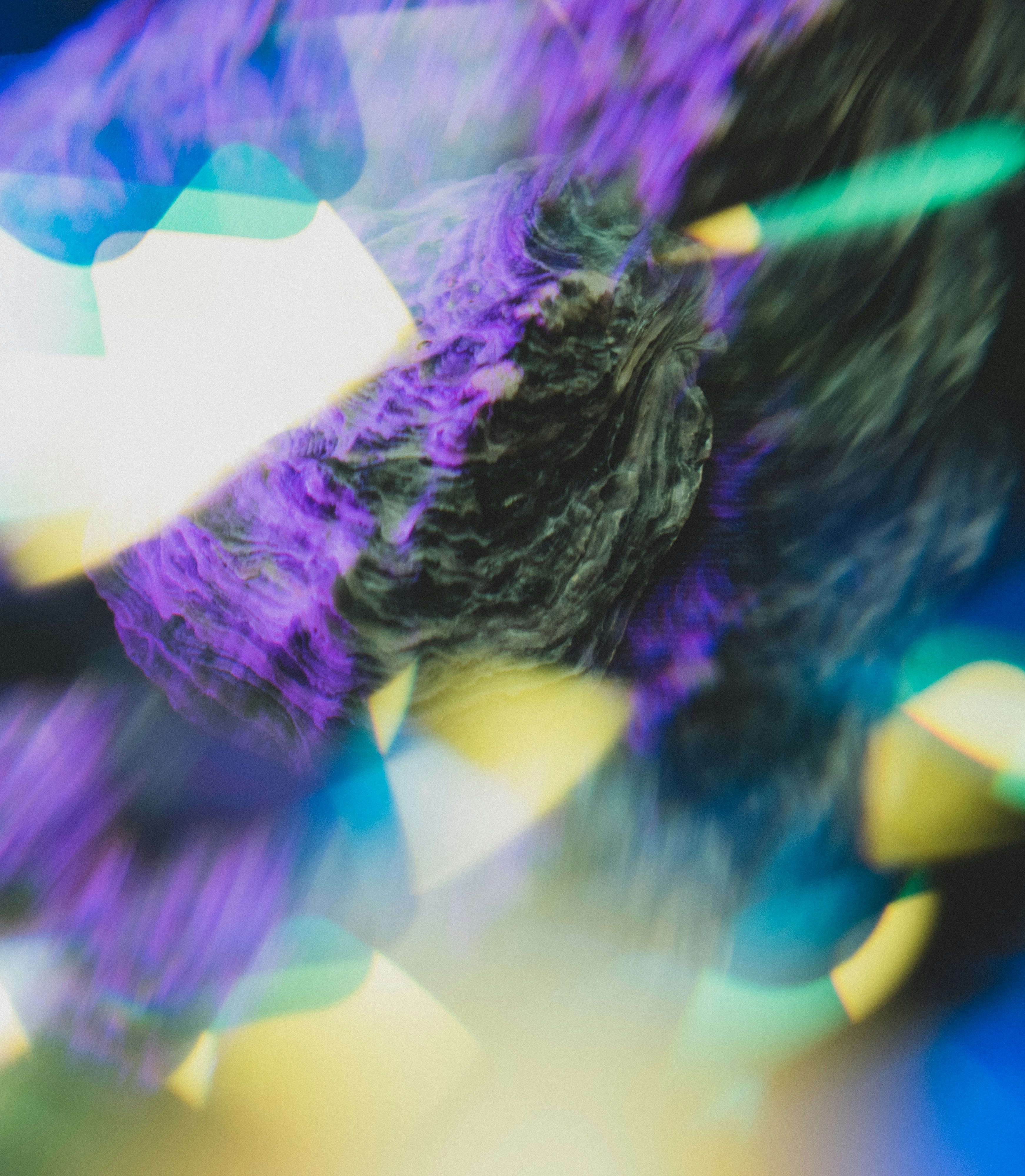 Prismatic Whorl: A kaleidoscope of color and motion