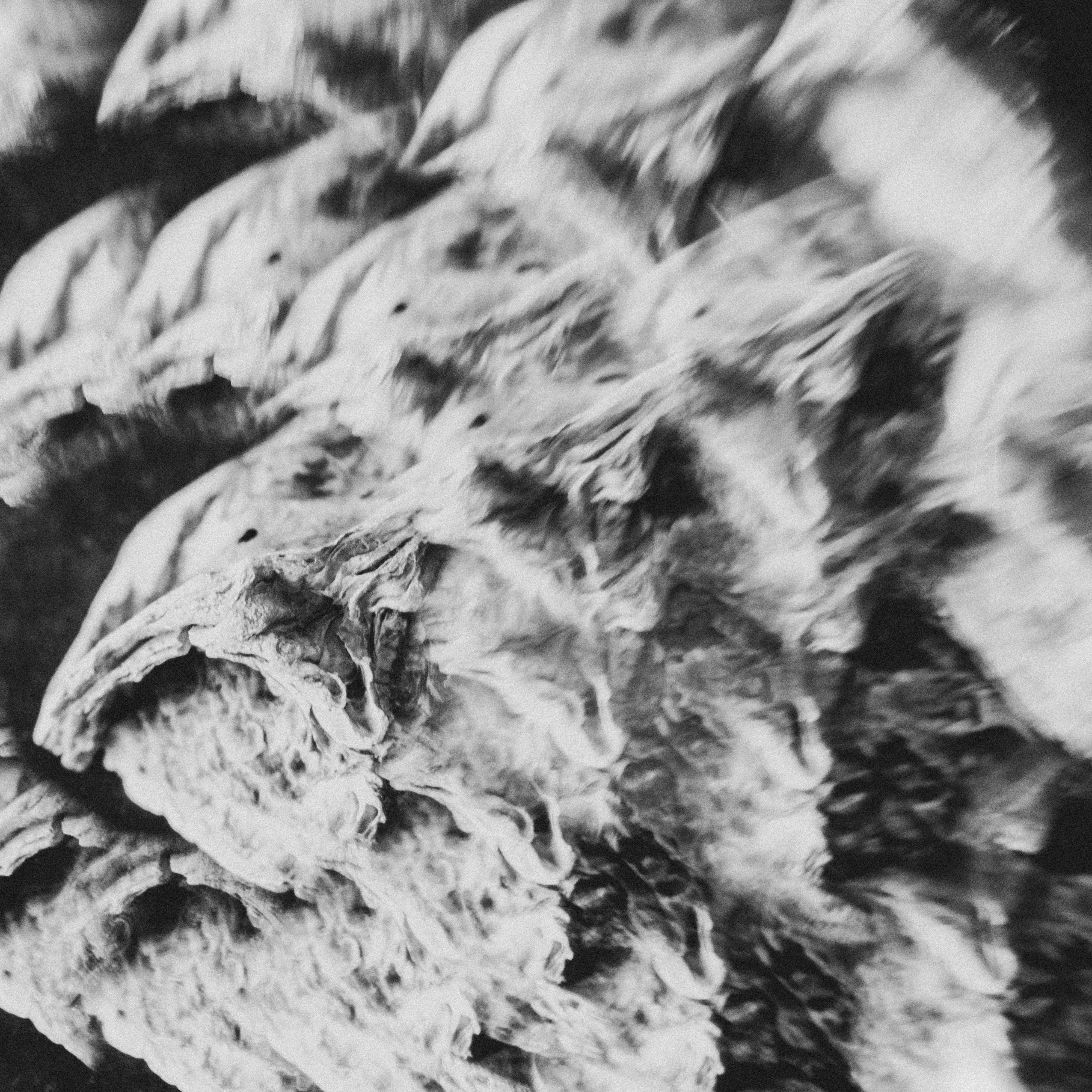 Whorled Granite: Textures of a Frozen Moment