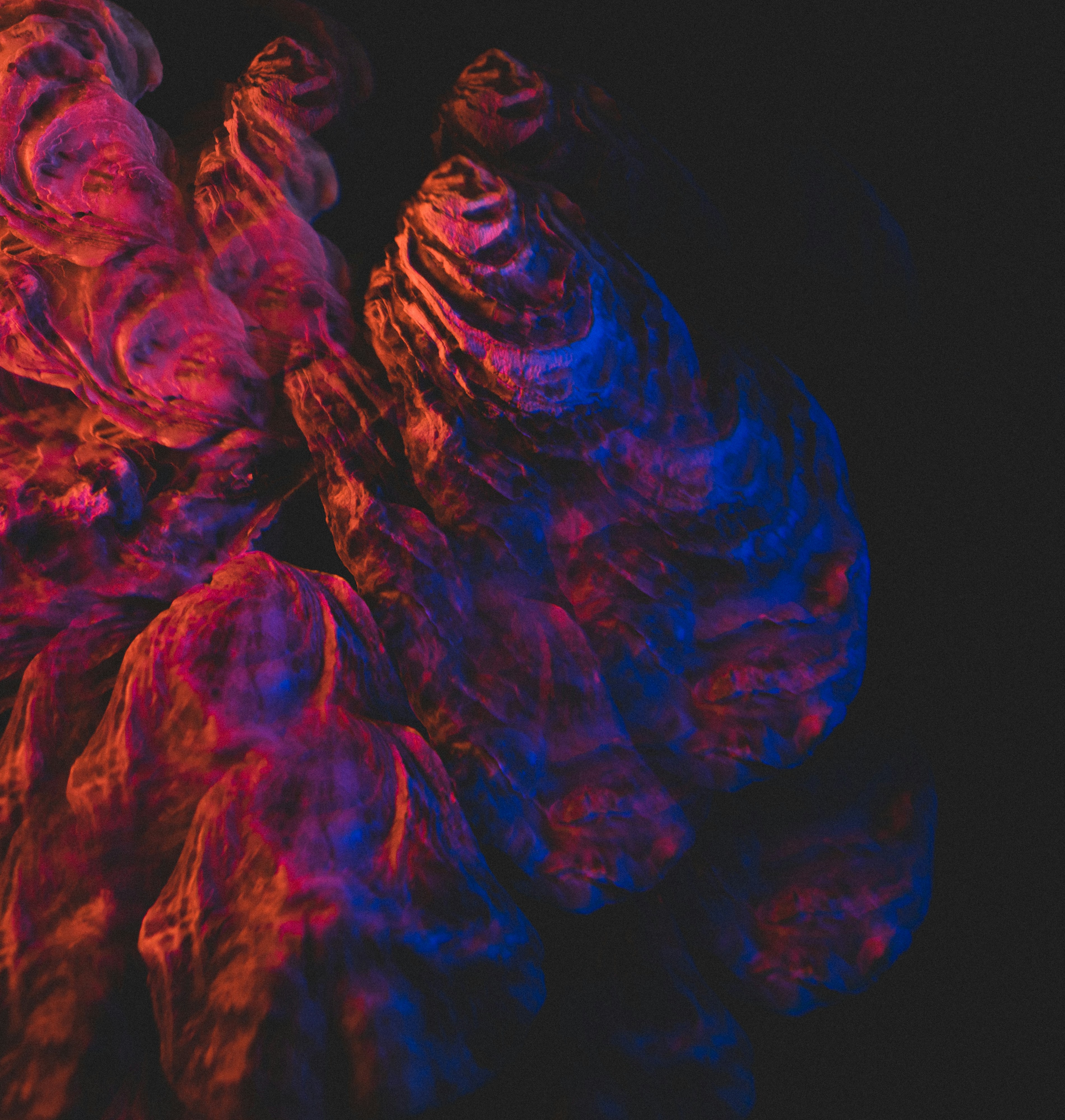 Chromatic Smoke: Fiery Velvet Carvings in the Dark