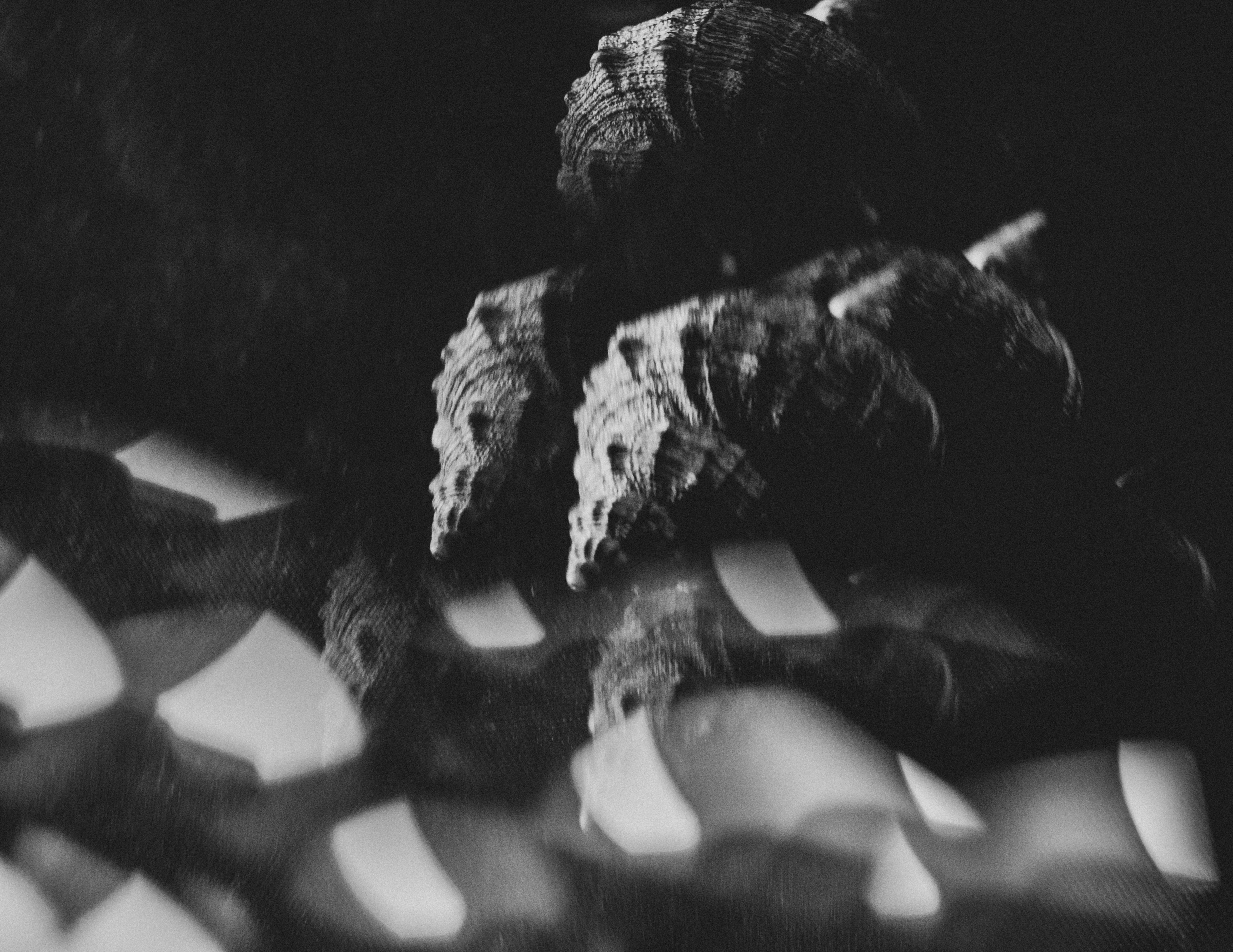 Ambiguity in Motion: Textured Shapes Drift Across a Darkness