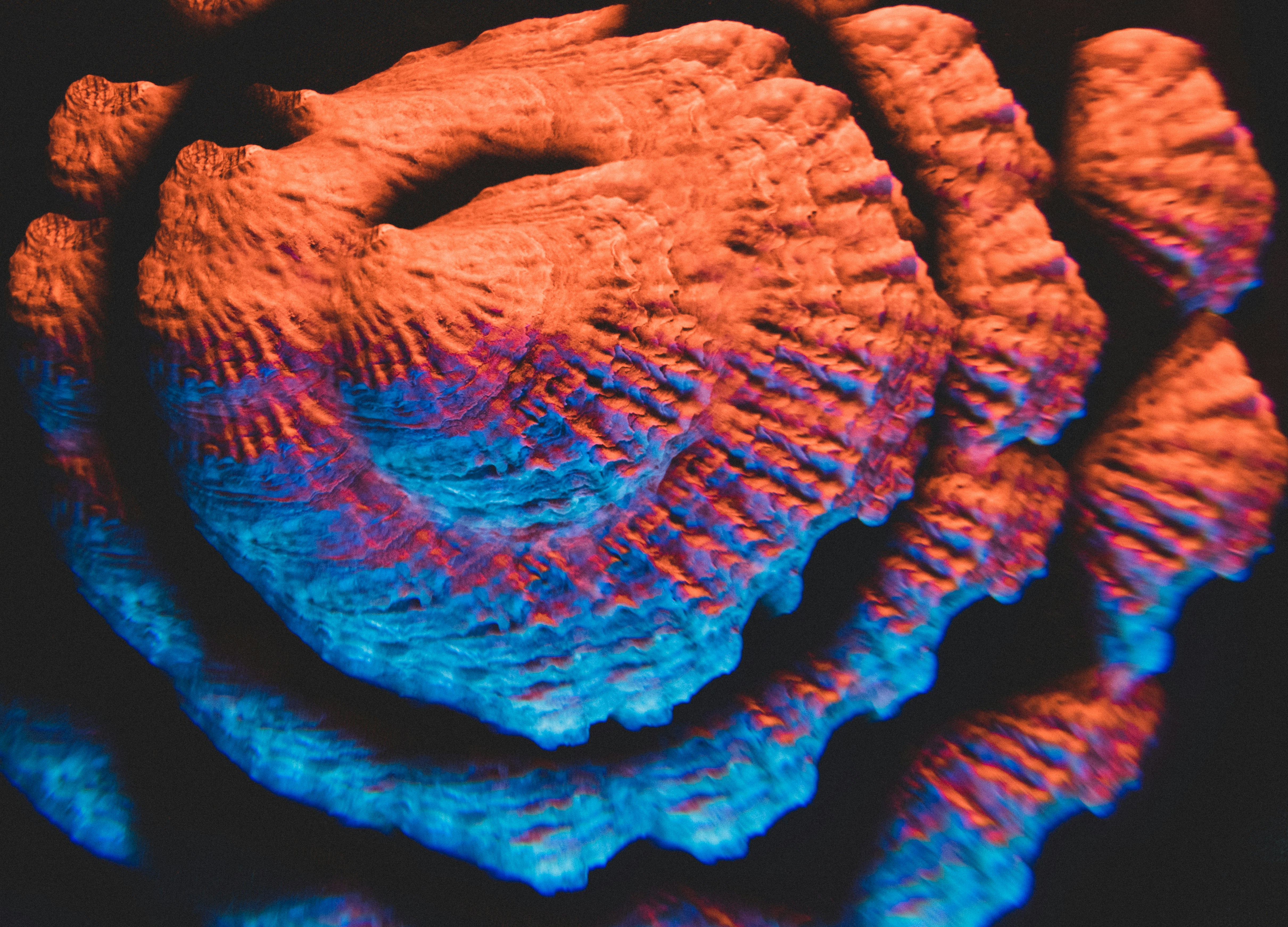Illuminated Spiral: Feathers of Color in a Helix