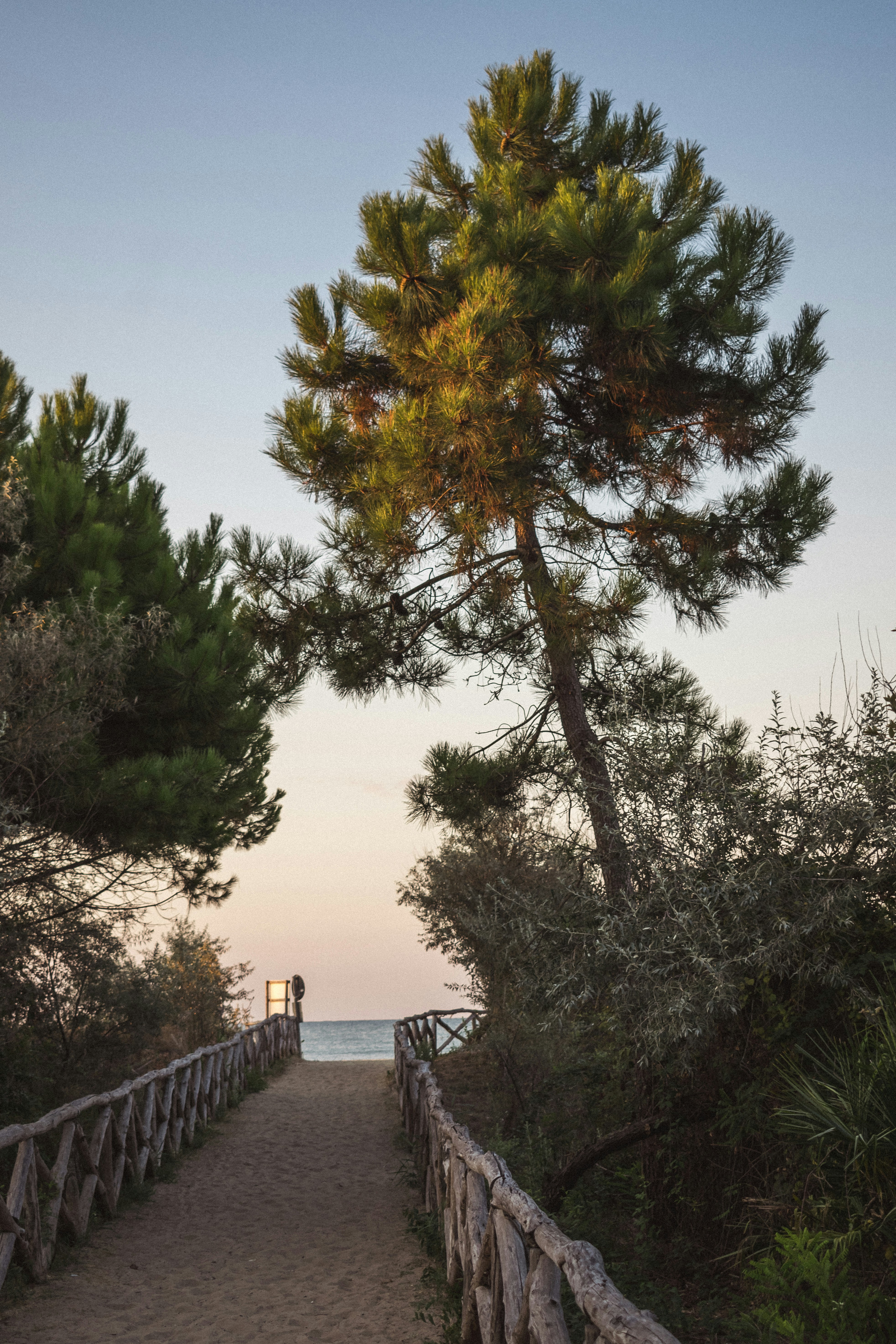 Path to the Sea: A Sunset Walk Through Sandy Dunes