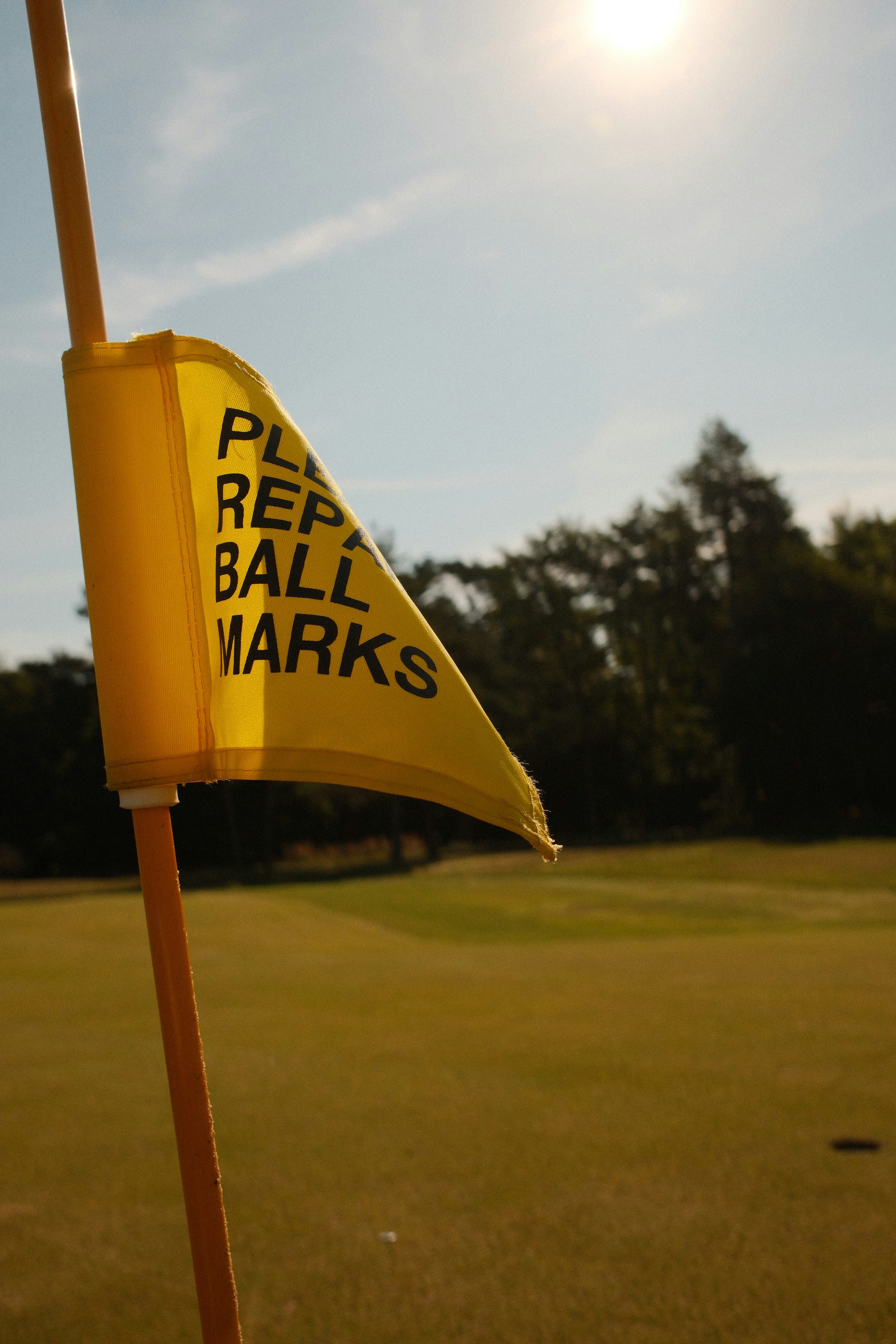 Flag at the Hole: A Sunlit Tee Box wakes the Golf Course