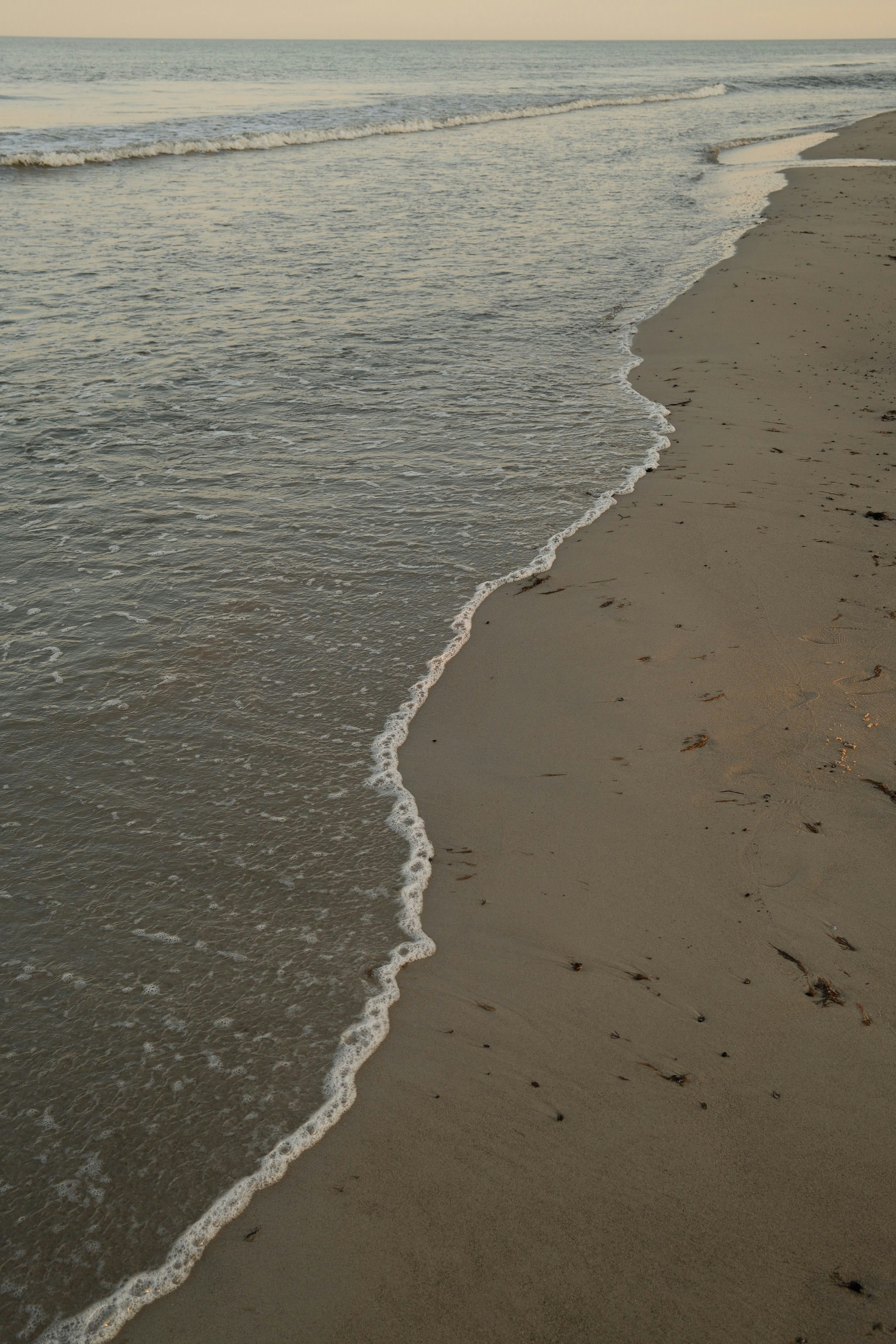 Line of Foam and Shoreline: a Quiet Beach at Dusk