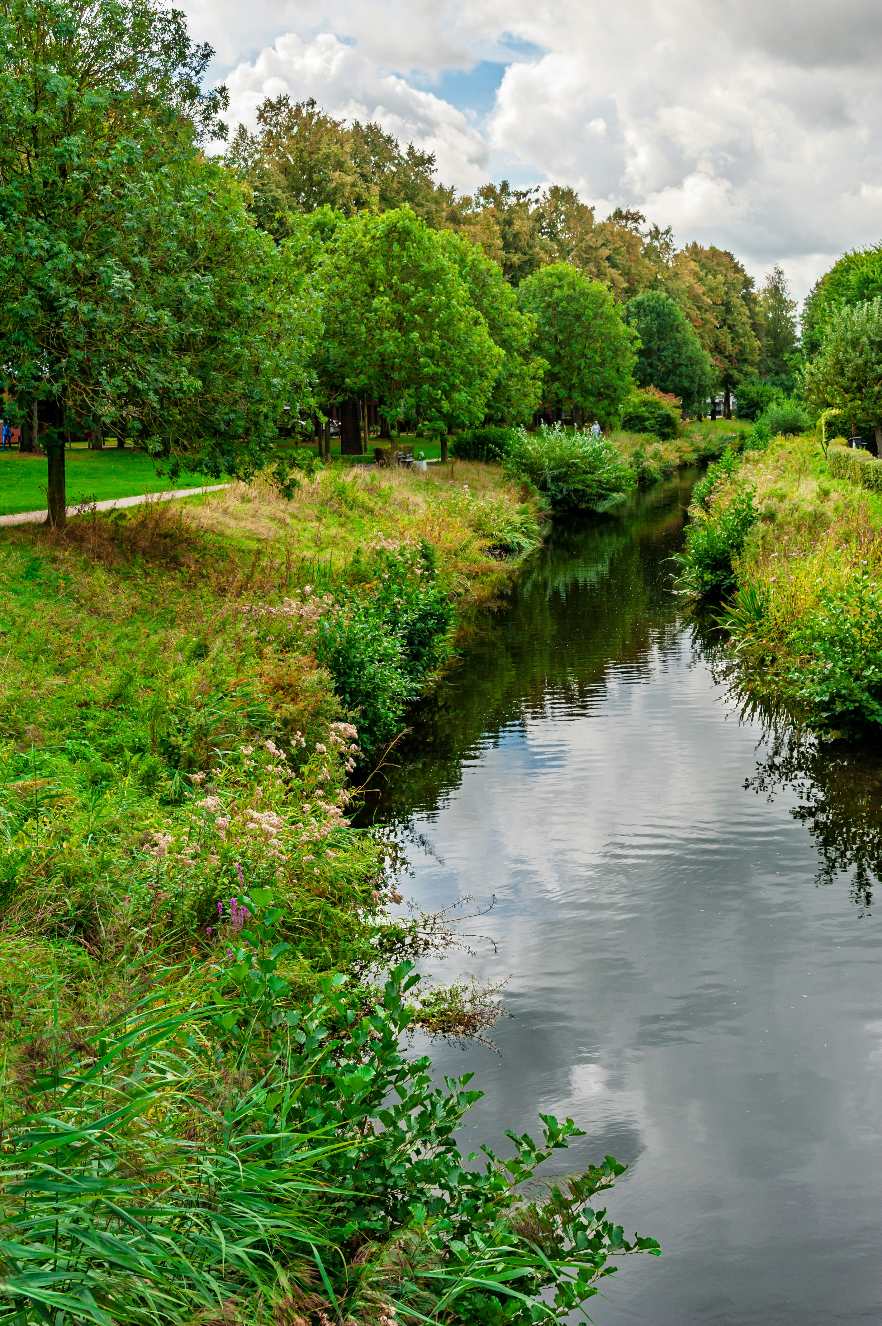Verdant Channel: A Quiet River Winding Through a Lush Park
