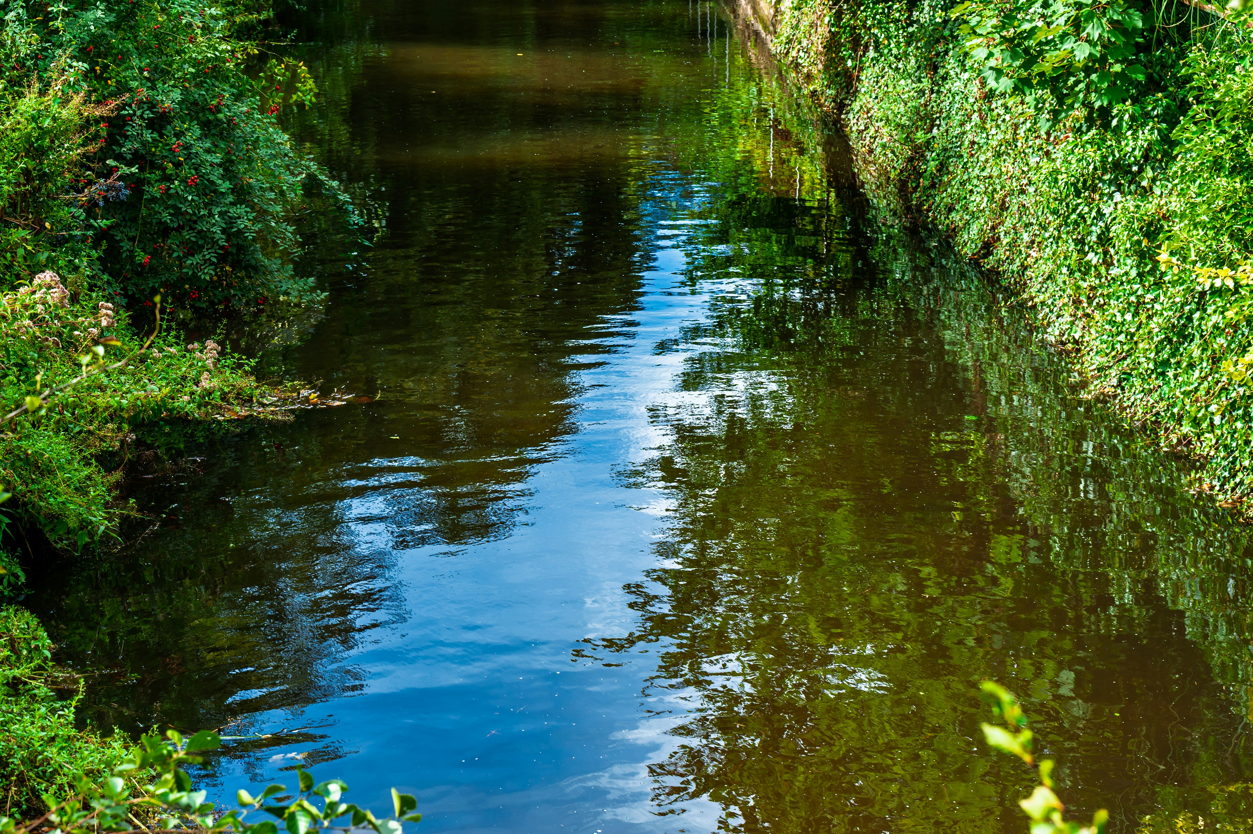 Verdant Channel: Sunlit Waterway Framed by Lush Bankside