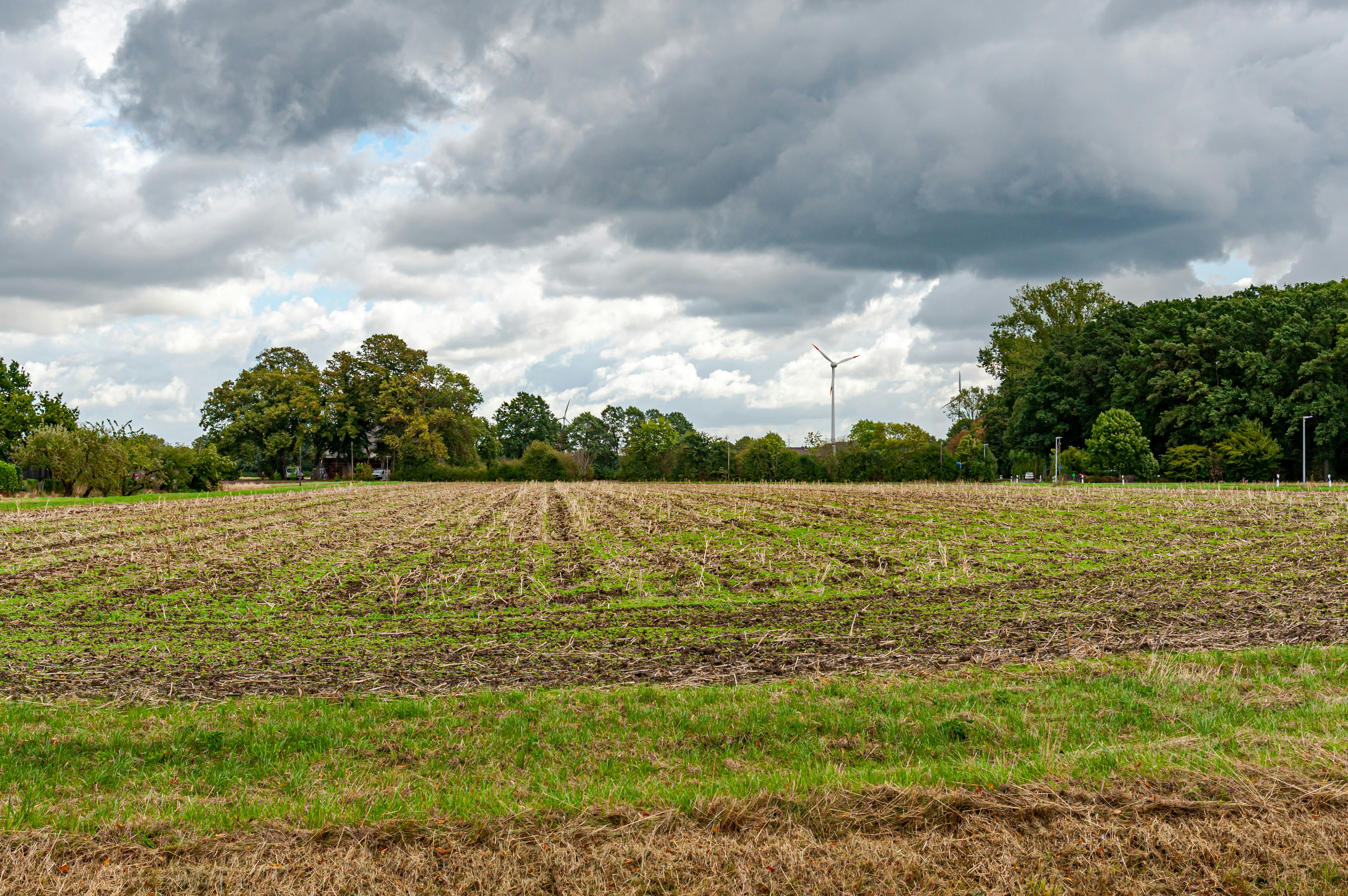 Windmill Quiet at Dusk: A Rural Field under Expansive Skies