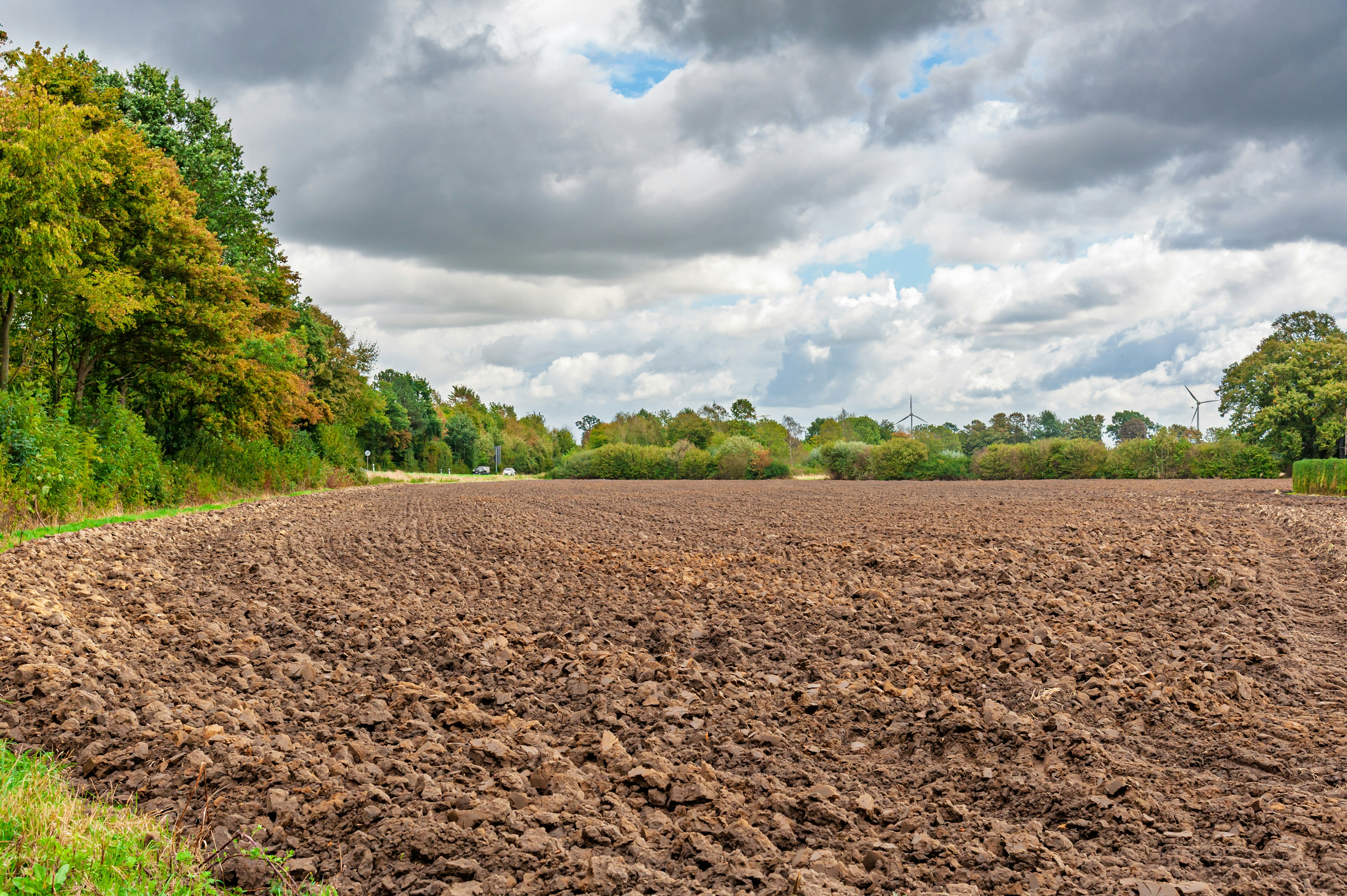 Plowed Field at Dusk: Lines of Earth Meet a Tree-Line Horizon