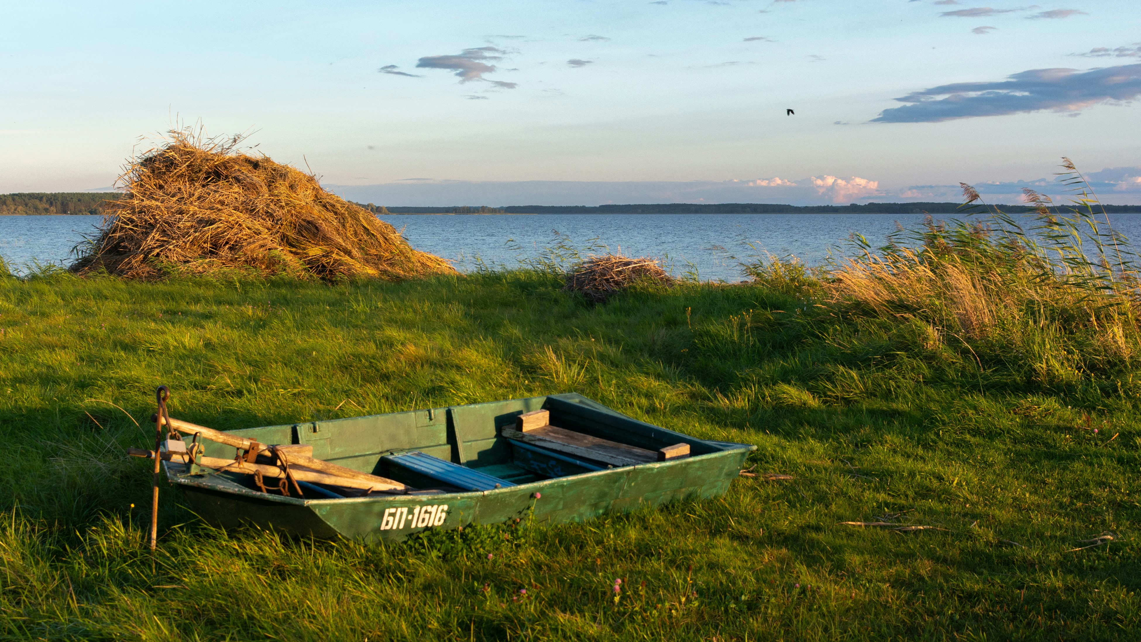 Abandoned Rowboat on a Sunlit Lakeshore