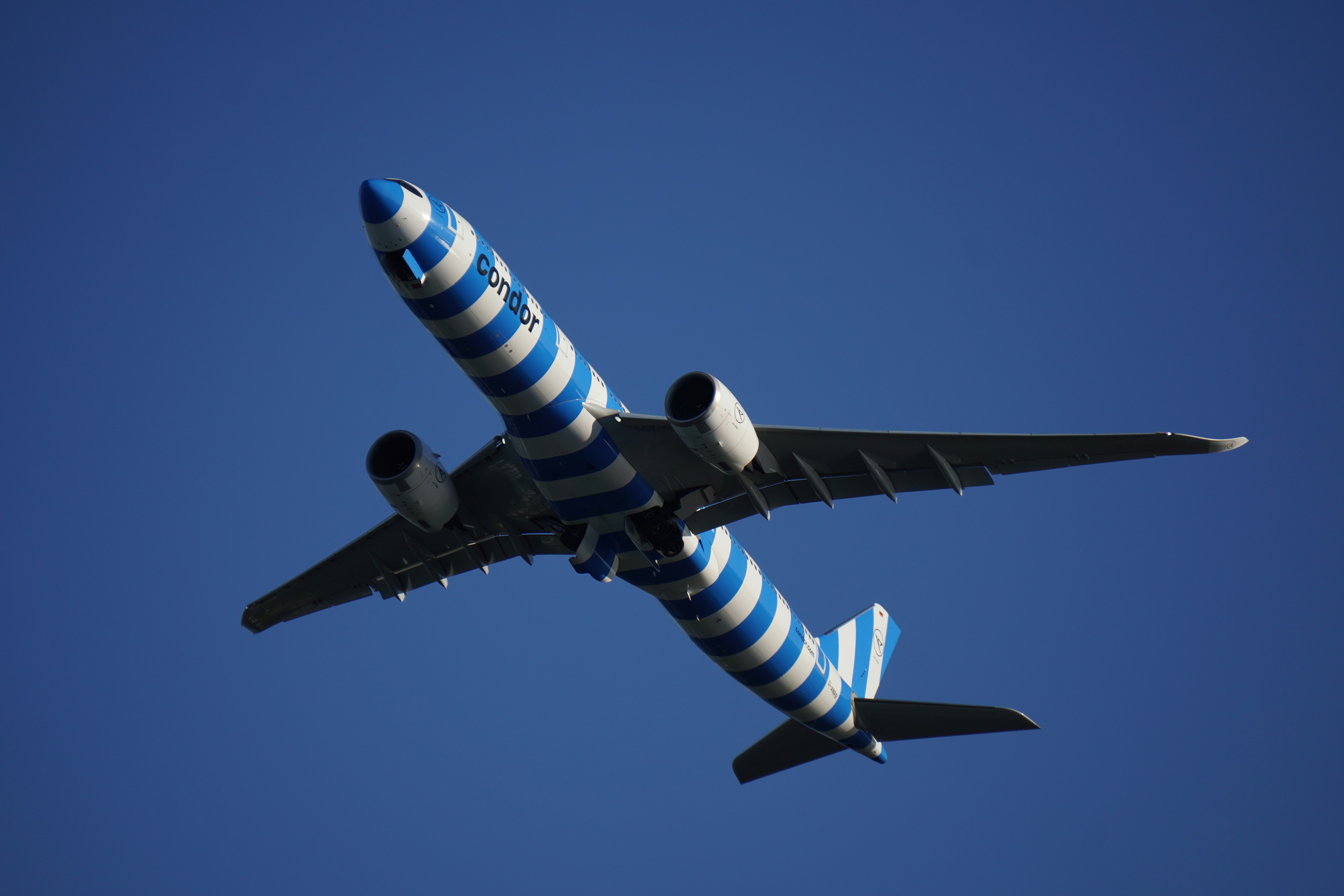 Blue-Striped Jet: A Strident Pass Through a Clear Sky