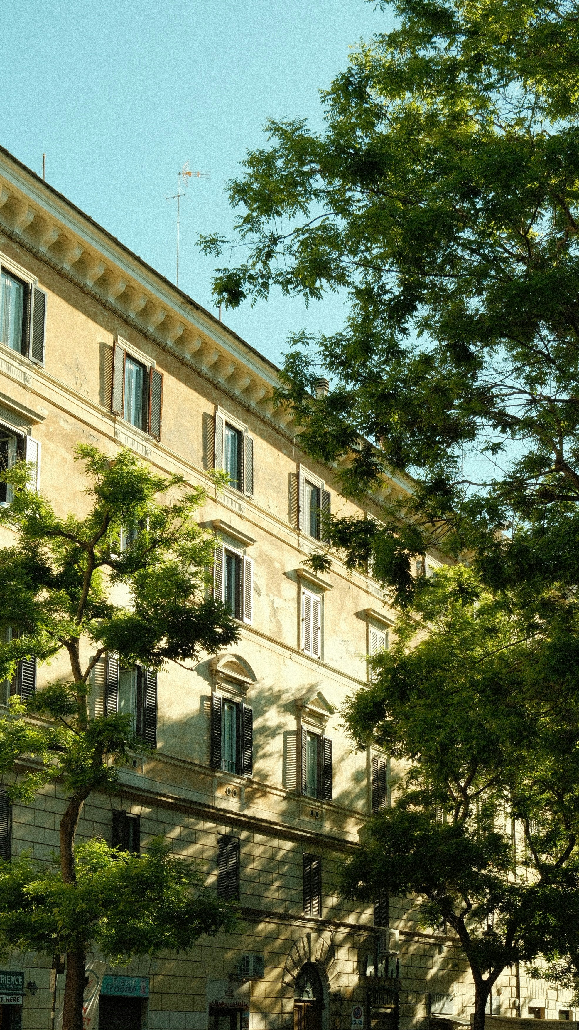 Sunlit Facade with Verdant Canopy in Evening Shade