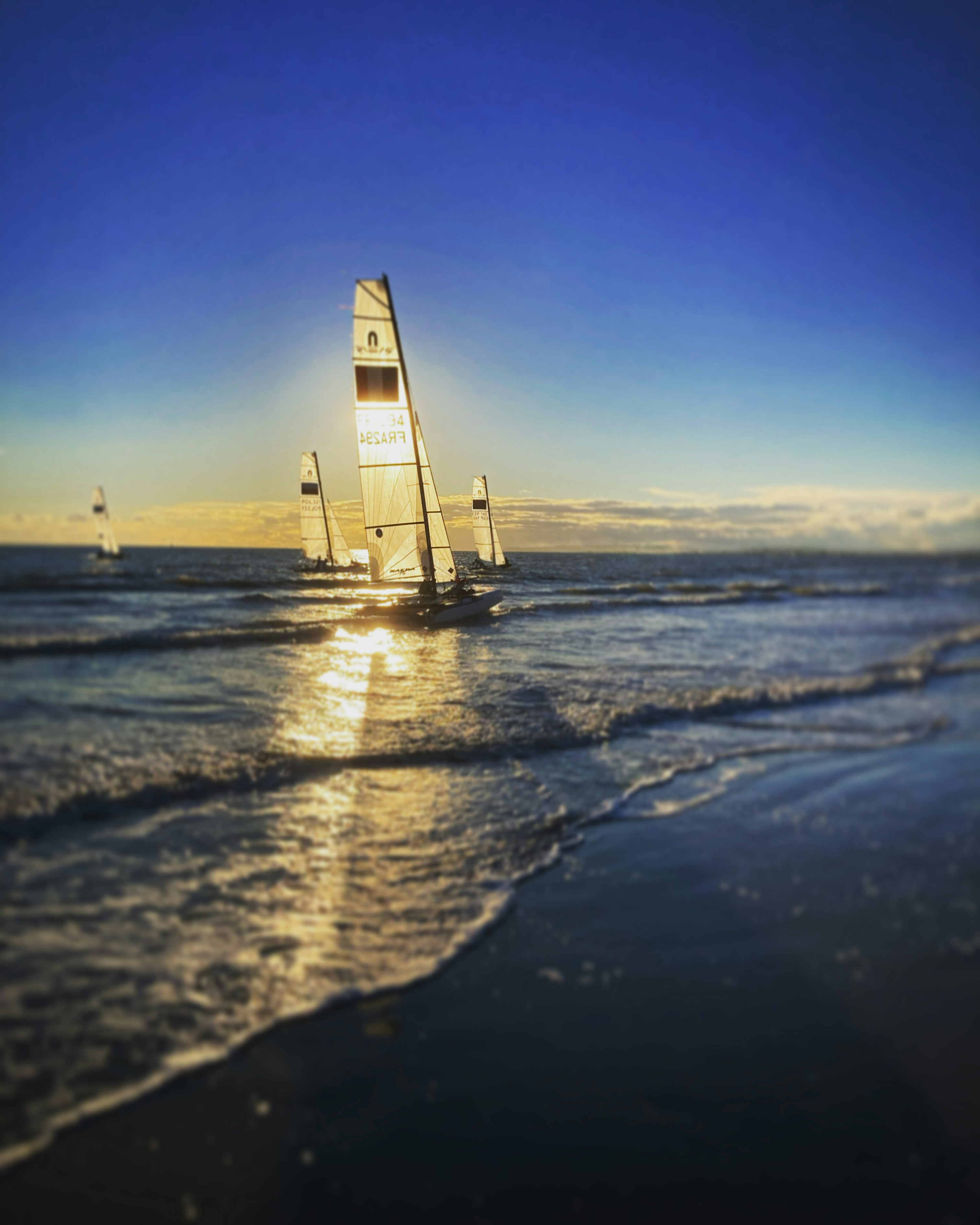 Sunlit Sails at the Horizon