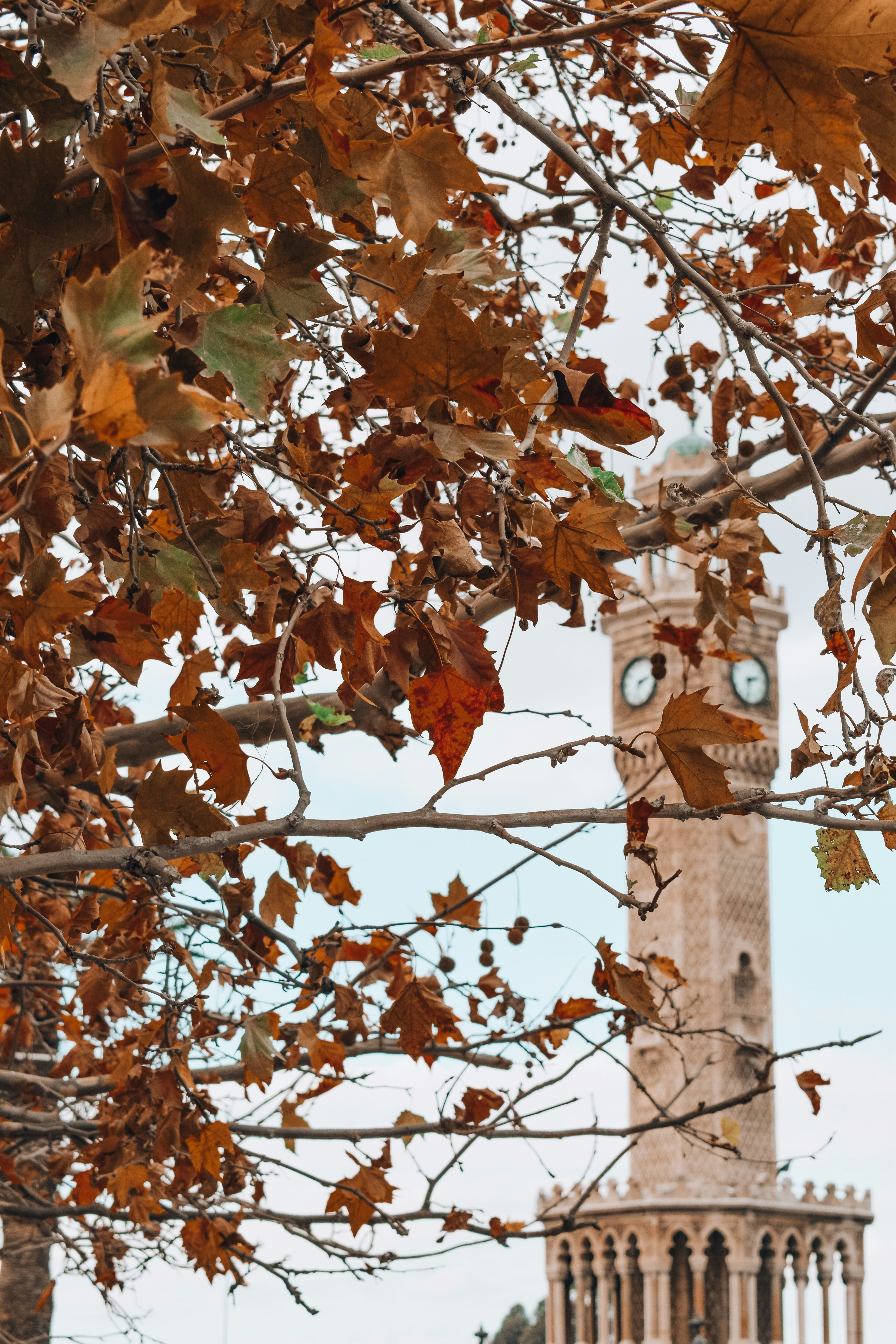 Autumn Veil Over the Clocktower