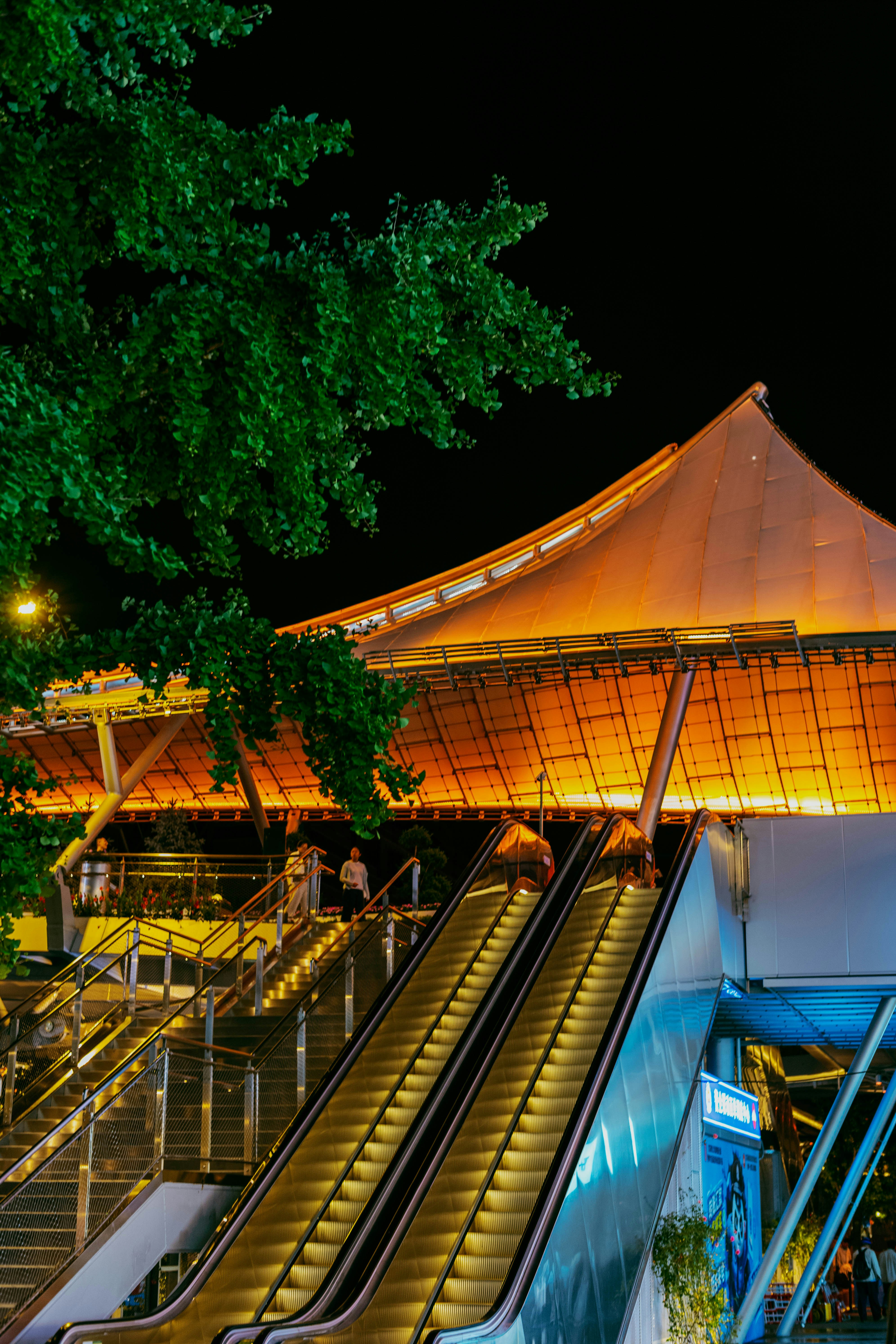 Golden Roof, Neon Night: An Arc of Escalators and Lantern Light