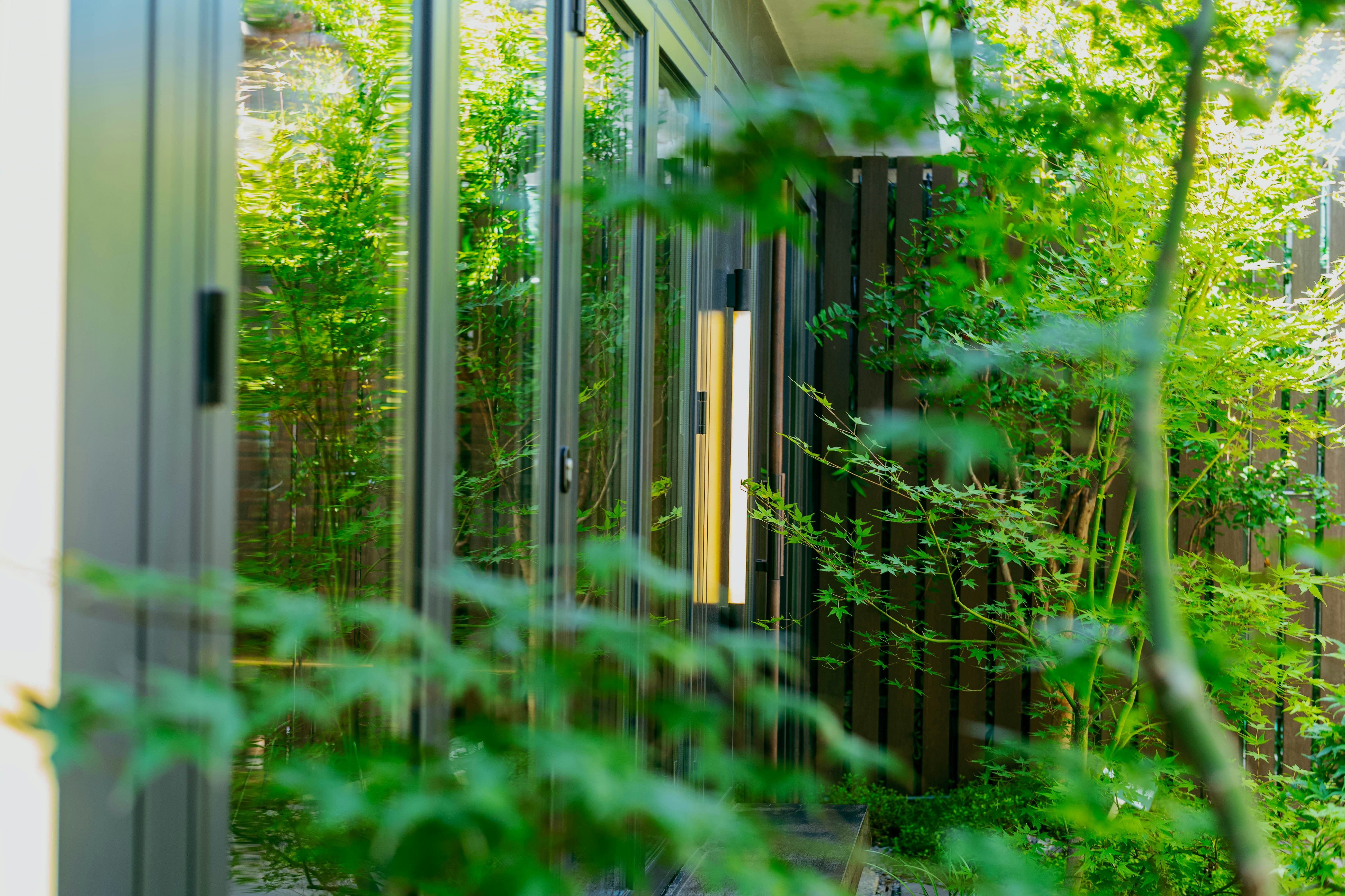 Overgrown Courtyard Corridor Between Modern Slats