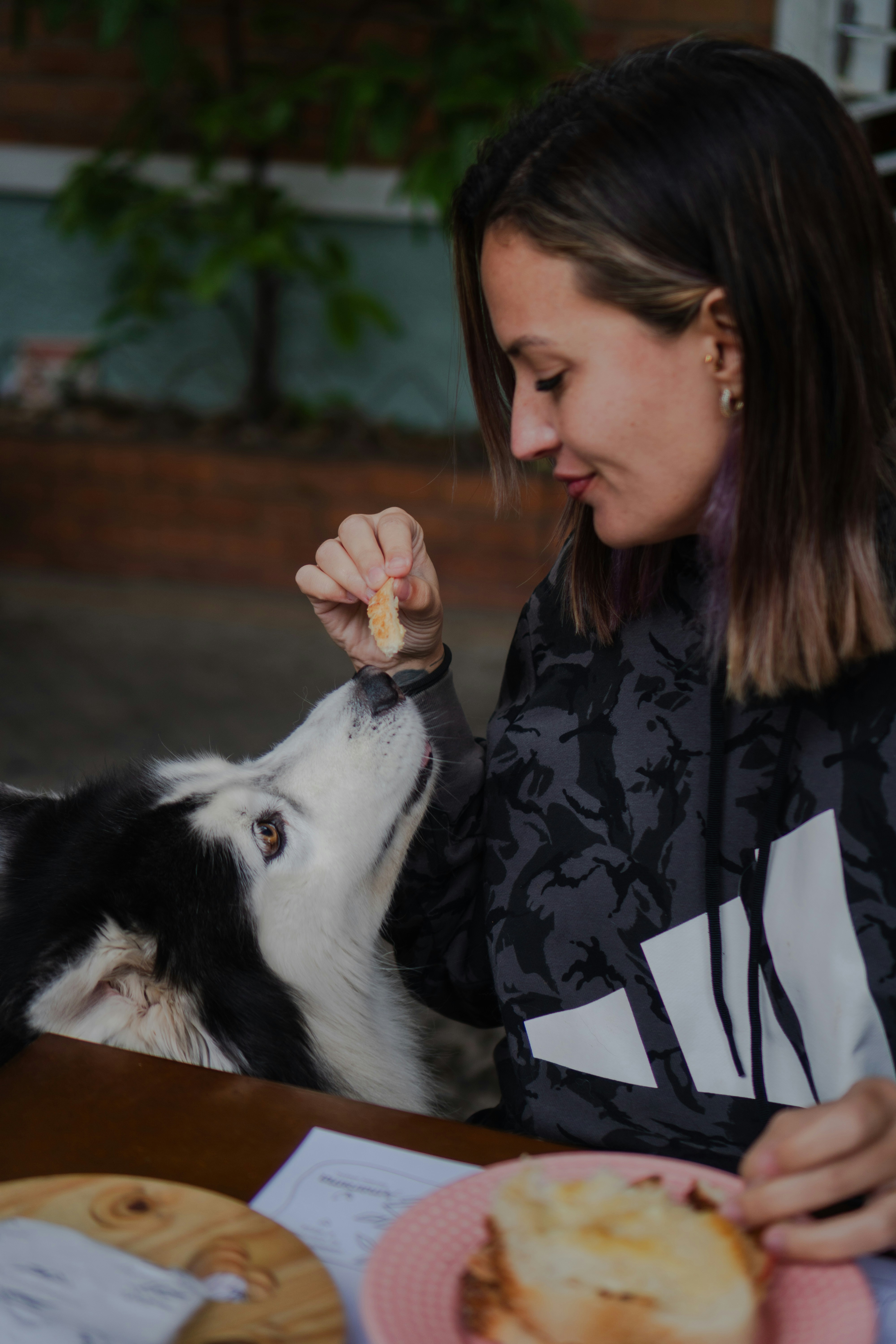 Gentle Snack Moment: A Dog, A Smile, And Shared Treats