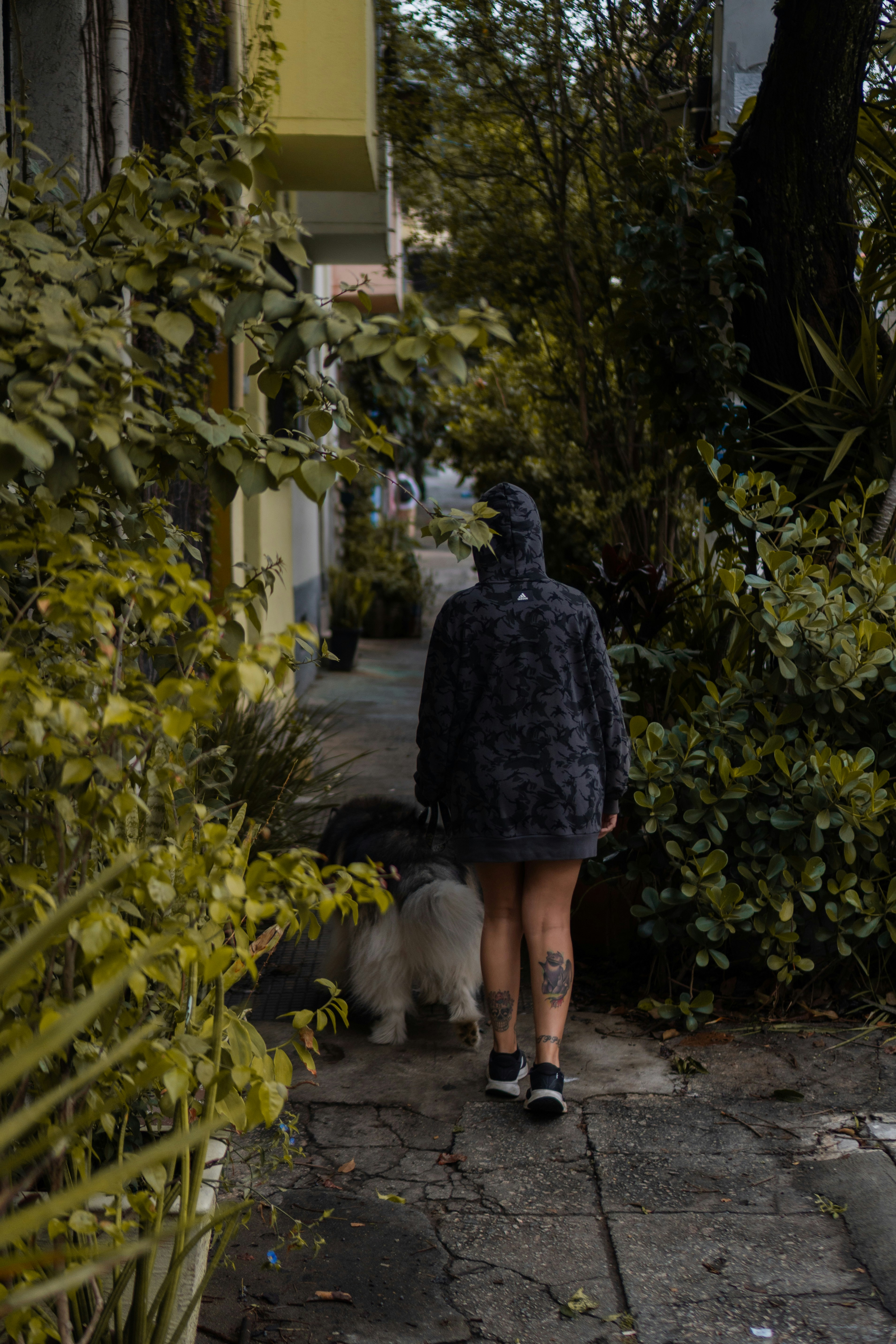 Shadowed Path: A Hooded Figure Walks Forward