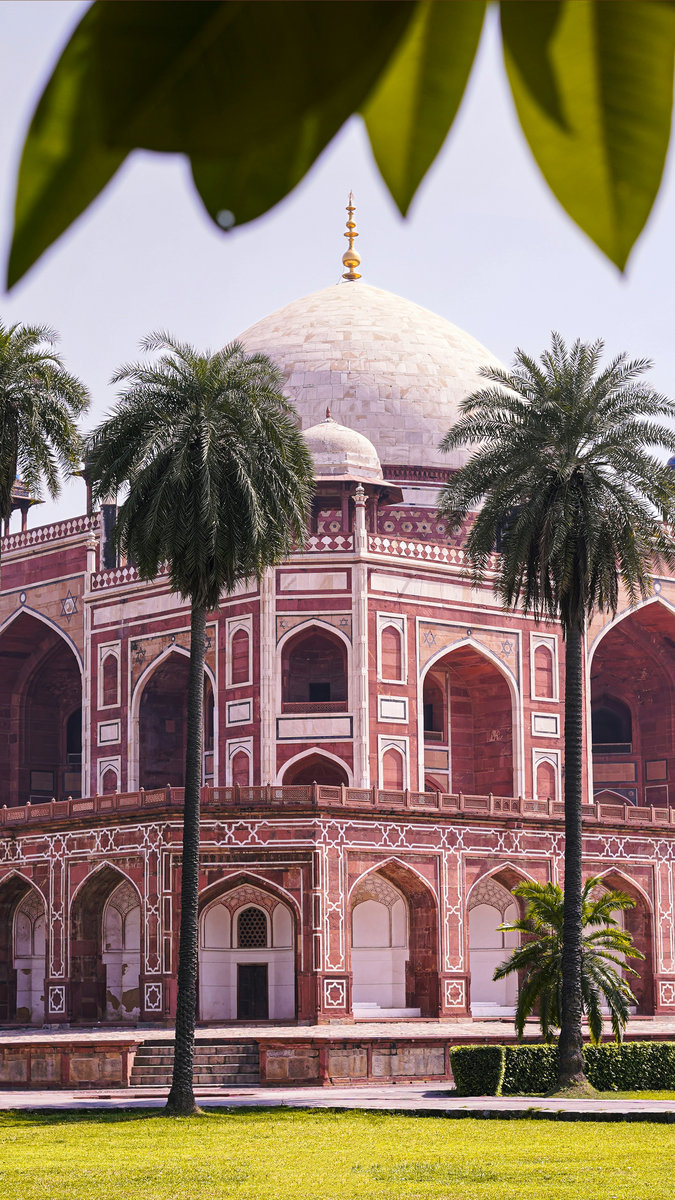Crimson Dome and Palm Carvings: An Indian Mughal Facade Framed by Green Veils