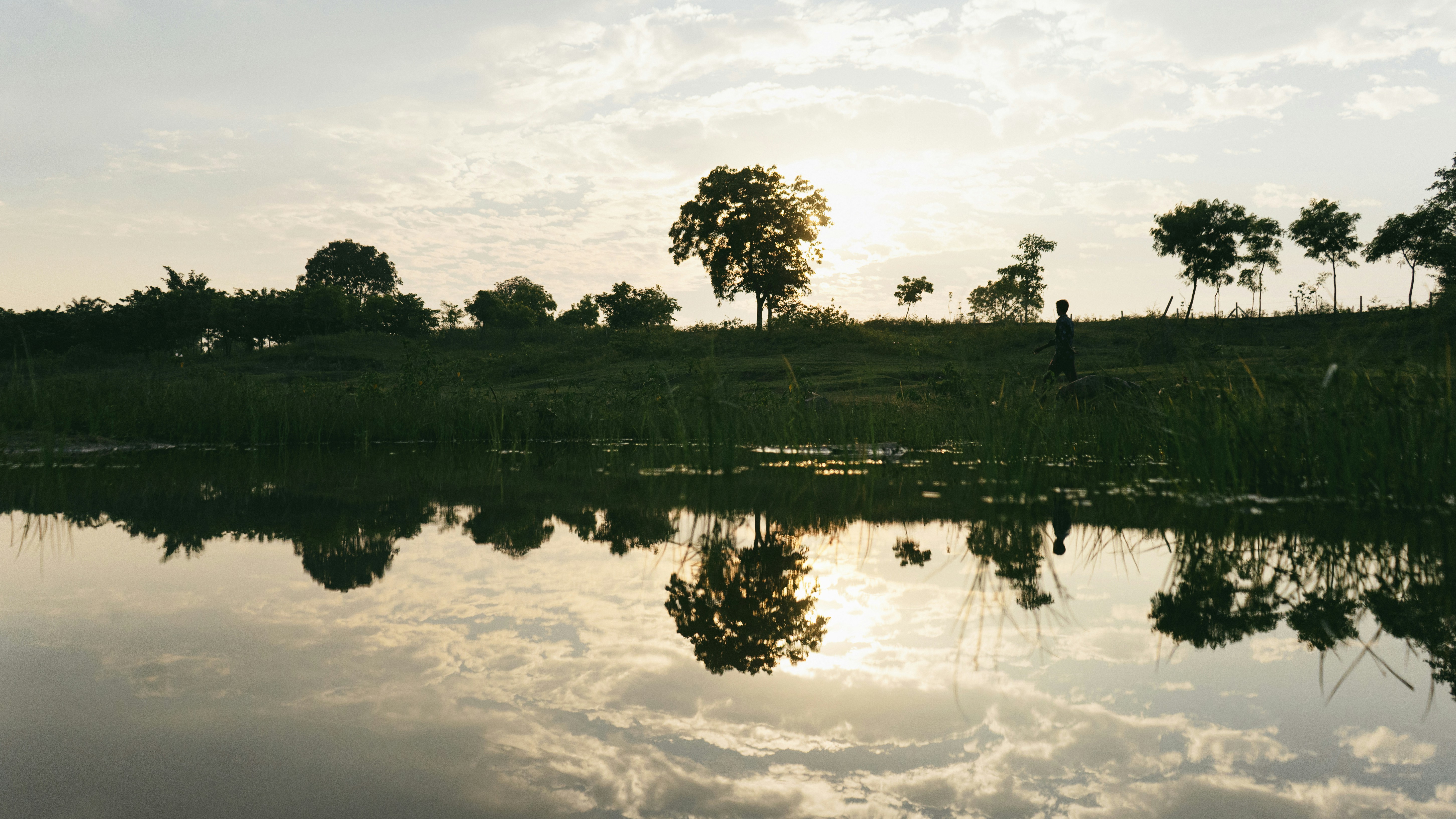 Silhouette at Dusk: Trees and Ephemeral Lake Mirage