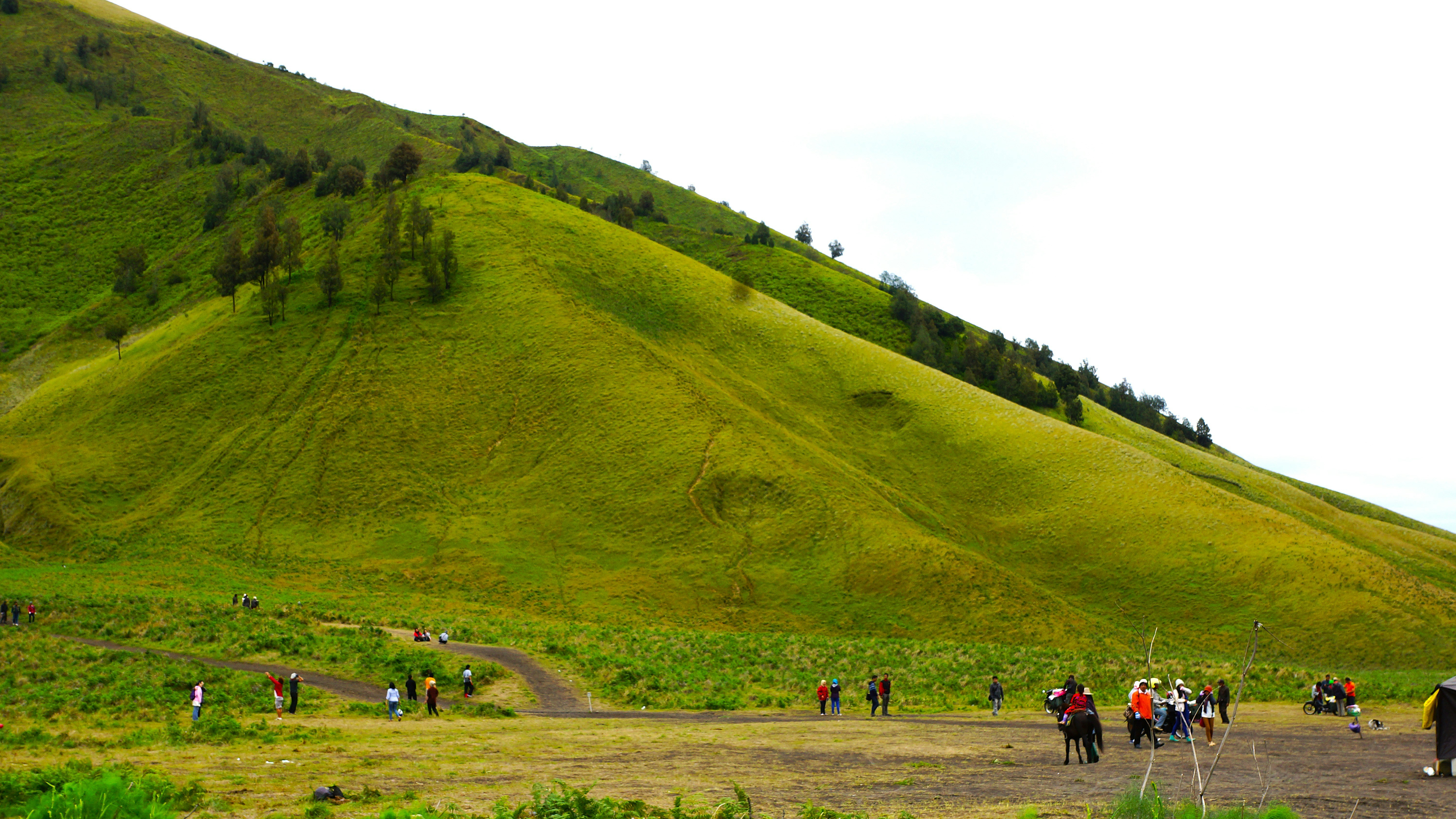 Green Hills at a Quiet Plain: A Field Day on the Slopes