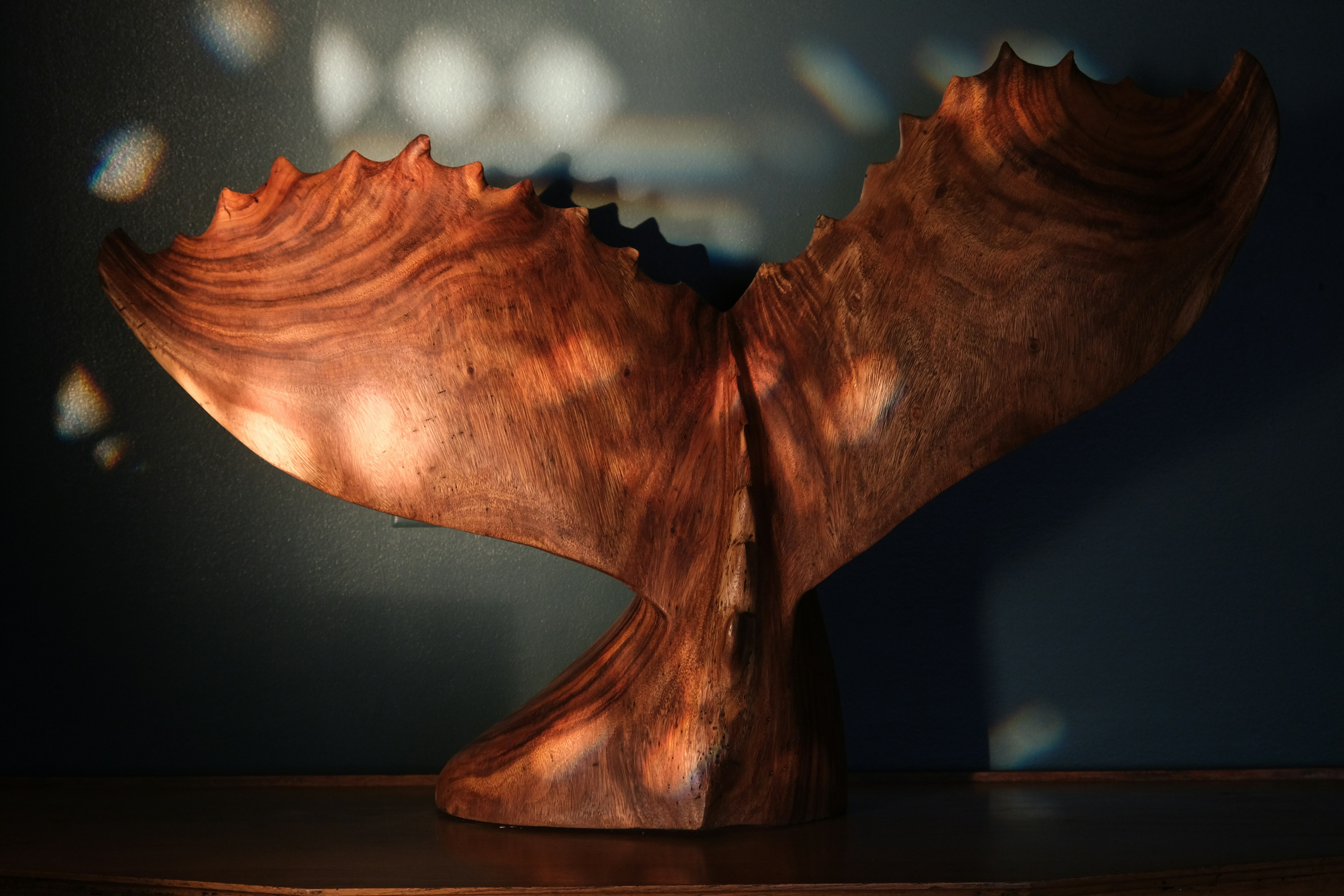 Wooden Wing: A Suspended Grain Sculpture Bathed in Spotlight