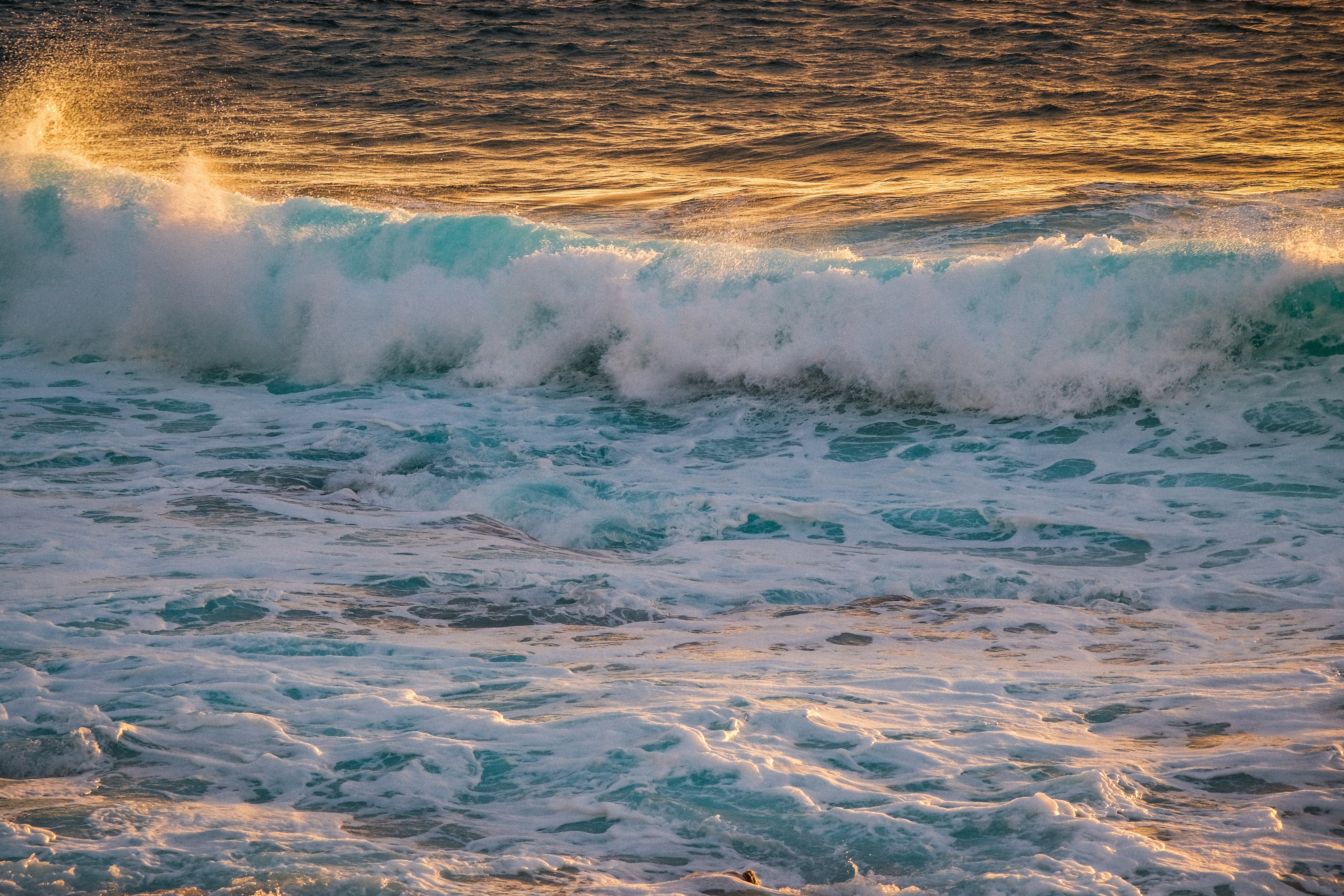 Golden Crest: Sunlit Breakers Over a Quiet Sea