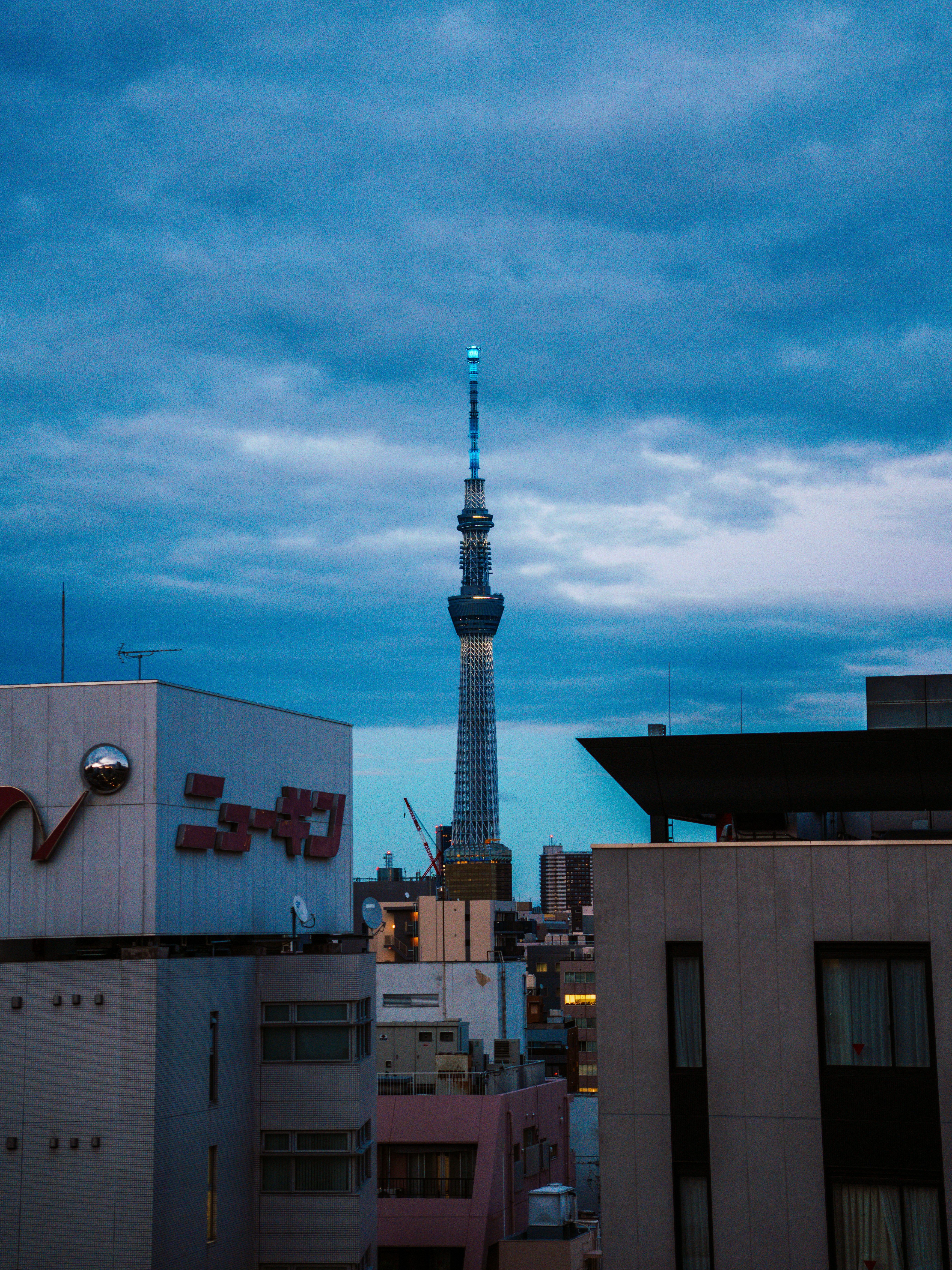 Tokyo Skyline: The Needle Among Buildings