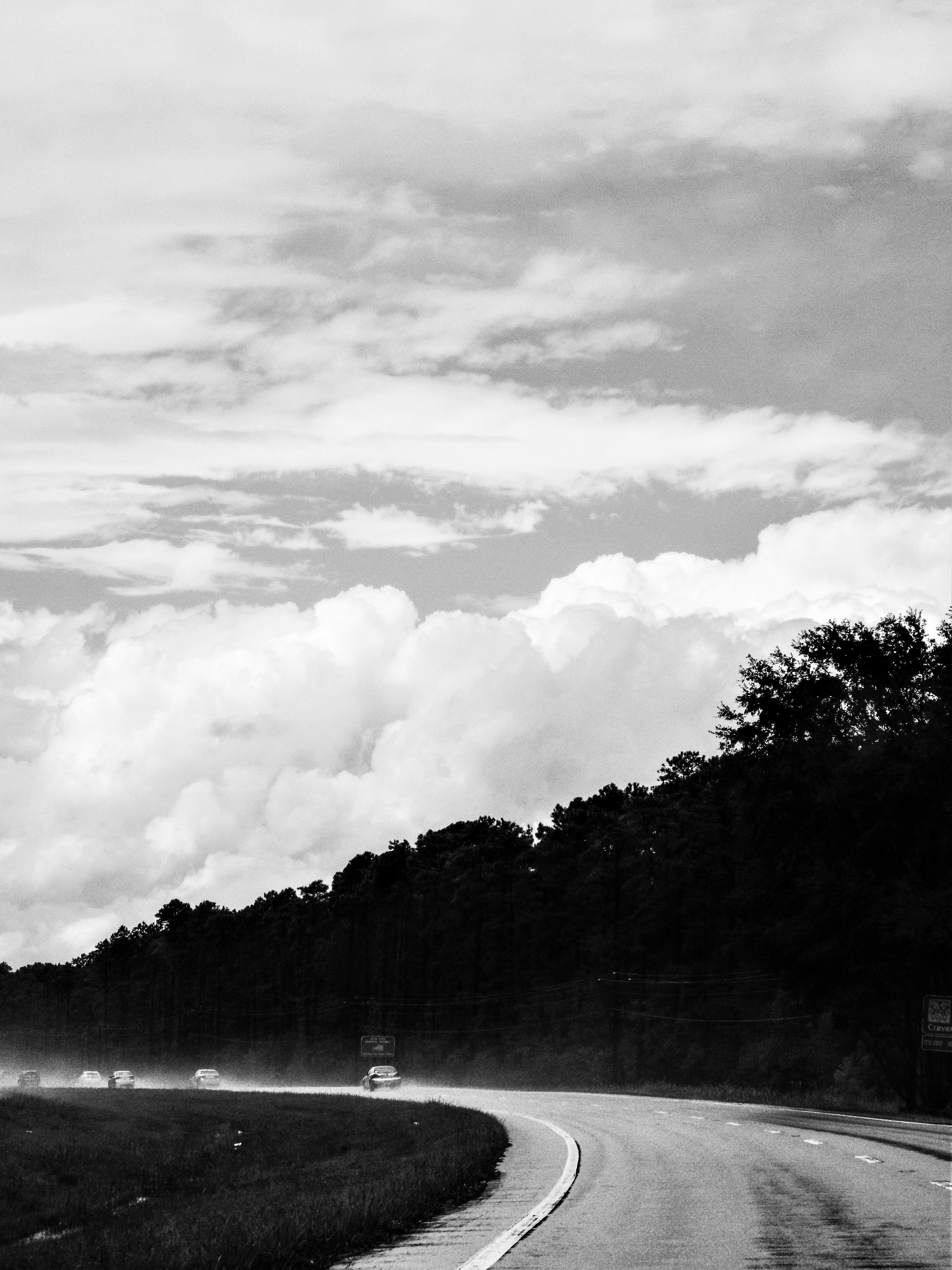 Road مists toward the forest under a dramatic sky