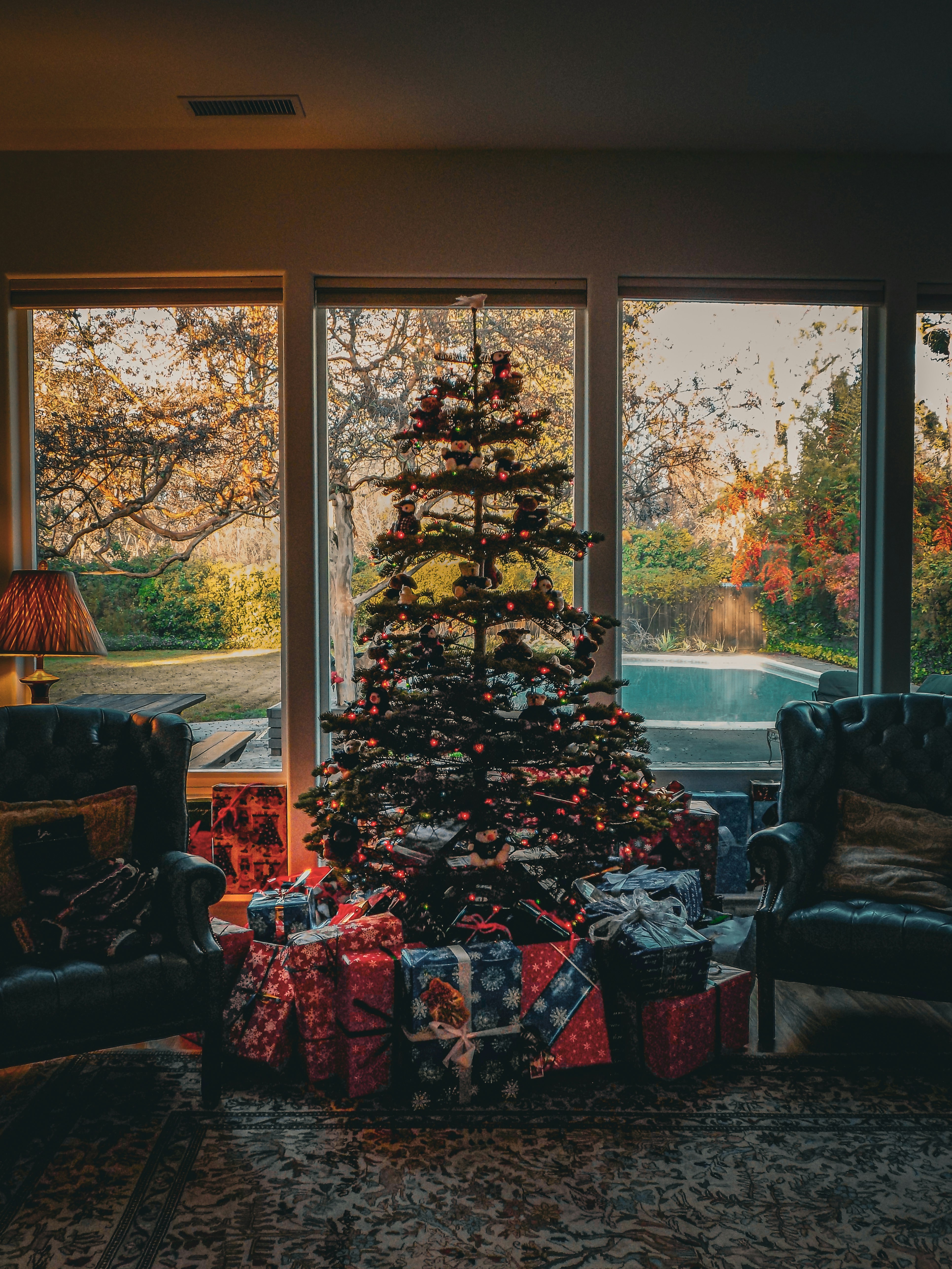 A Christmas Tree Crowned Between Windows and Reflections