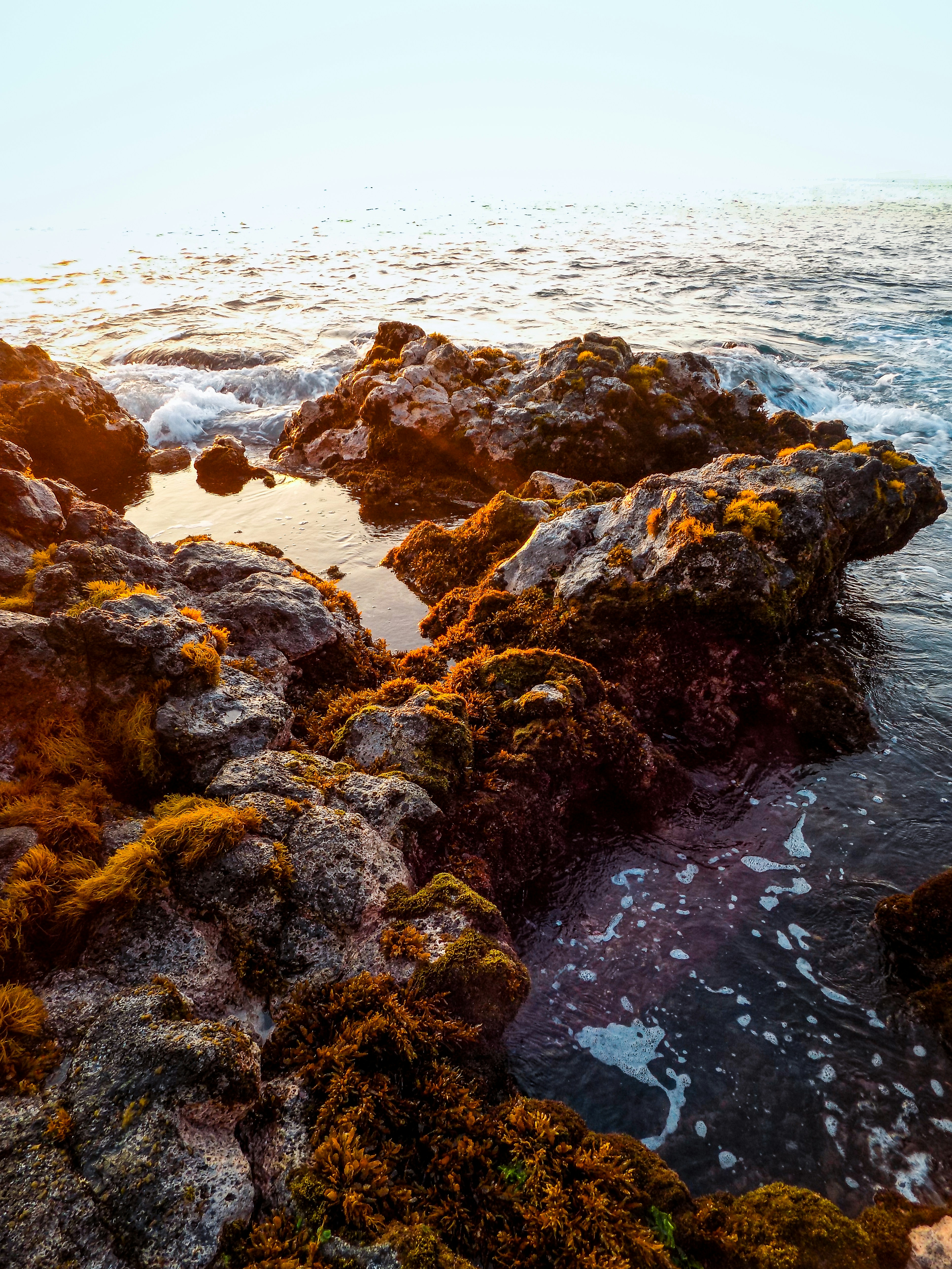Sunlit Tidal Tangle: Rugged Rocks Meet Sea Foam