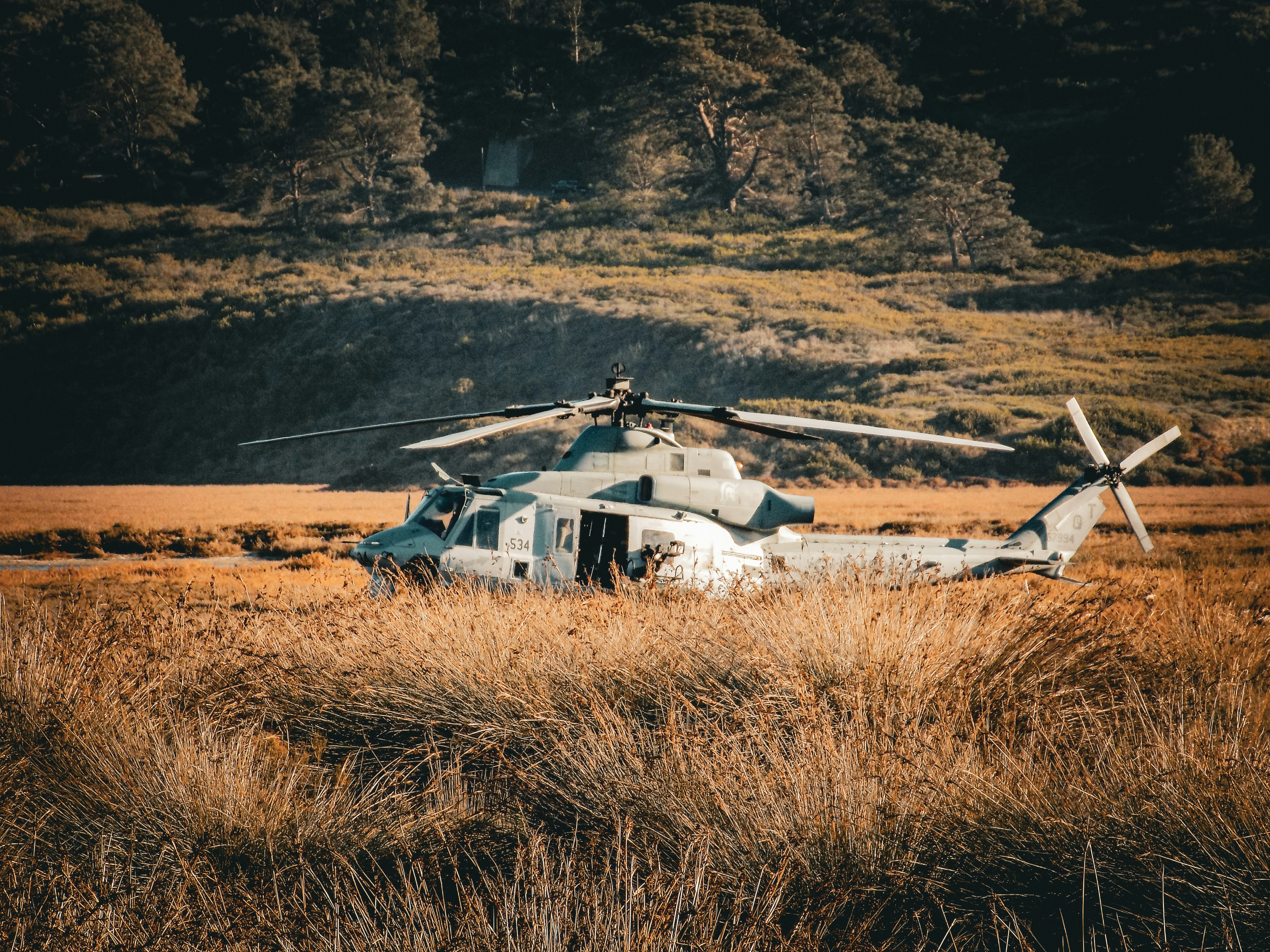 Deserted chopper in tall grasses under a muted hillside