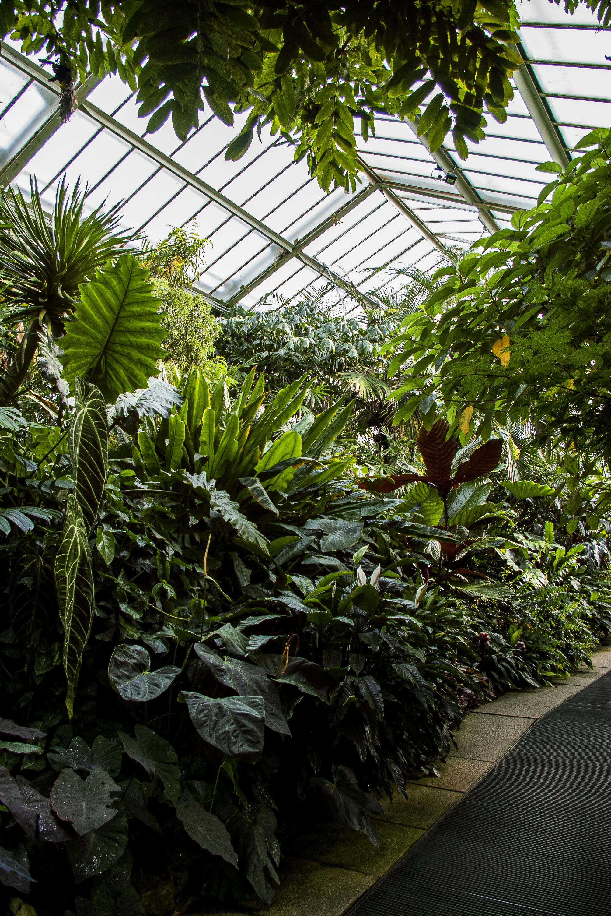 Azure Conservatory: A Corridor of Lush Undertones