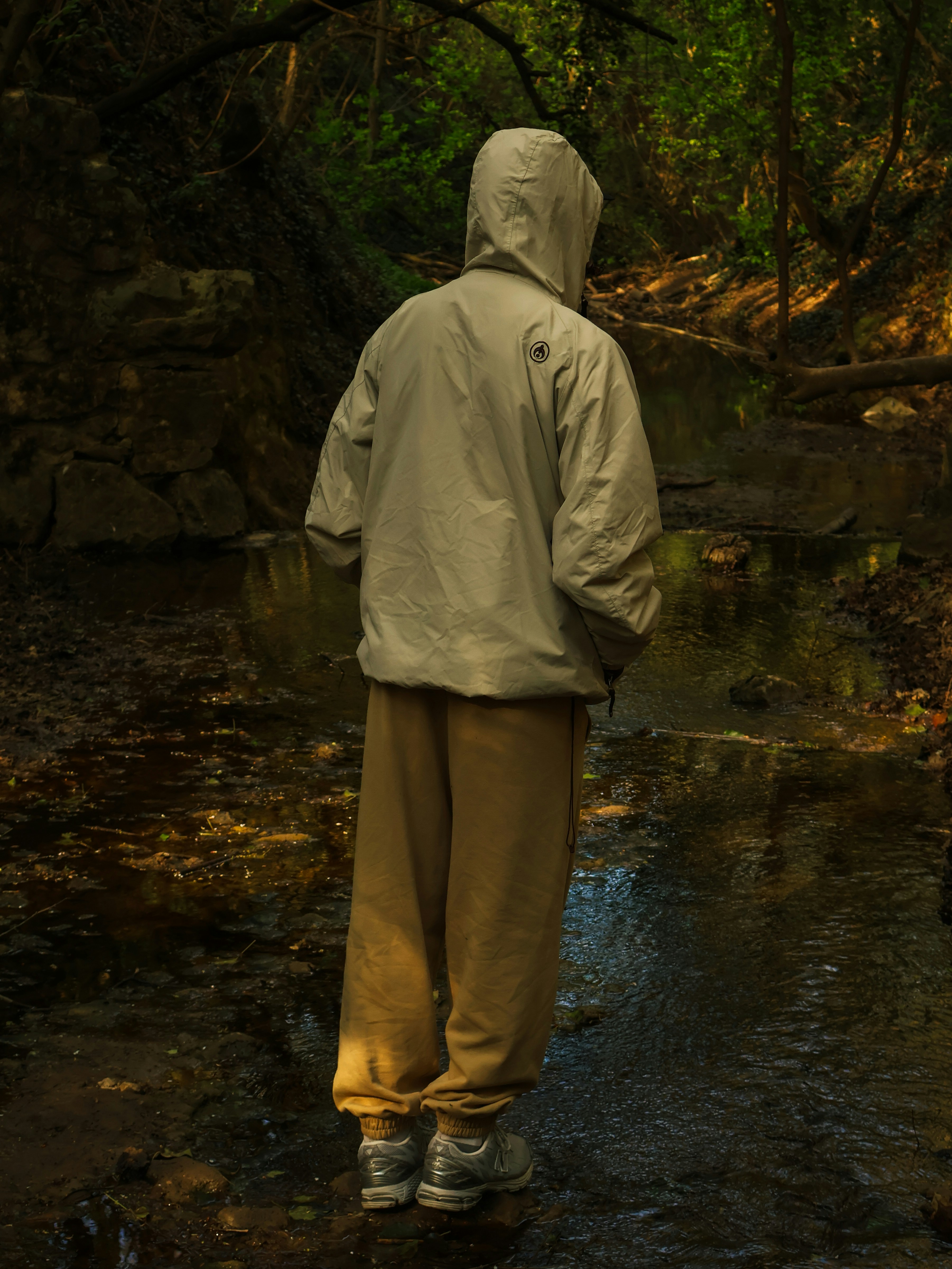 Hooded Explorer Beneath Autumn Canopy