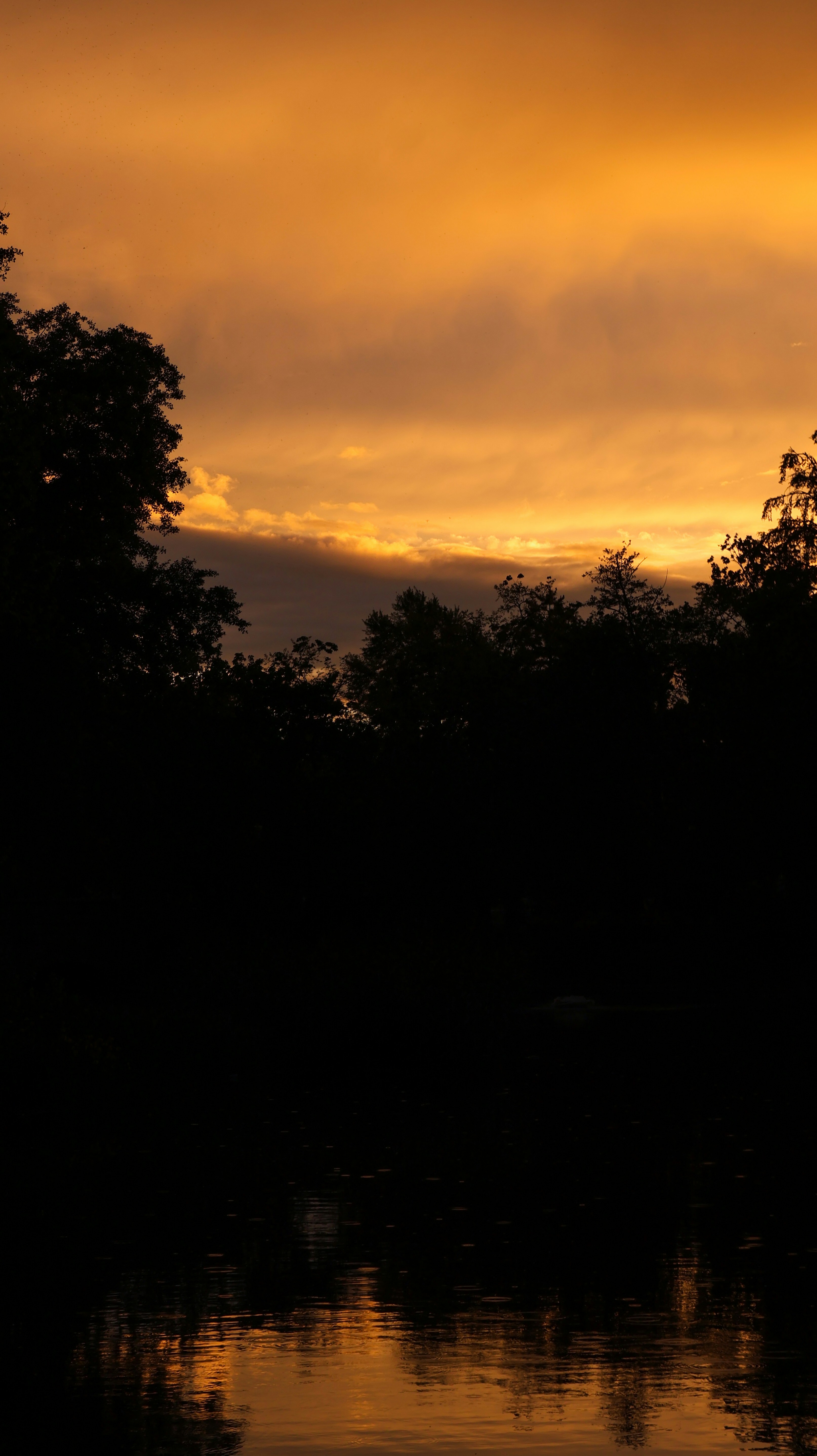 Golden Hour Silhouette Over a Quiet Waterway