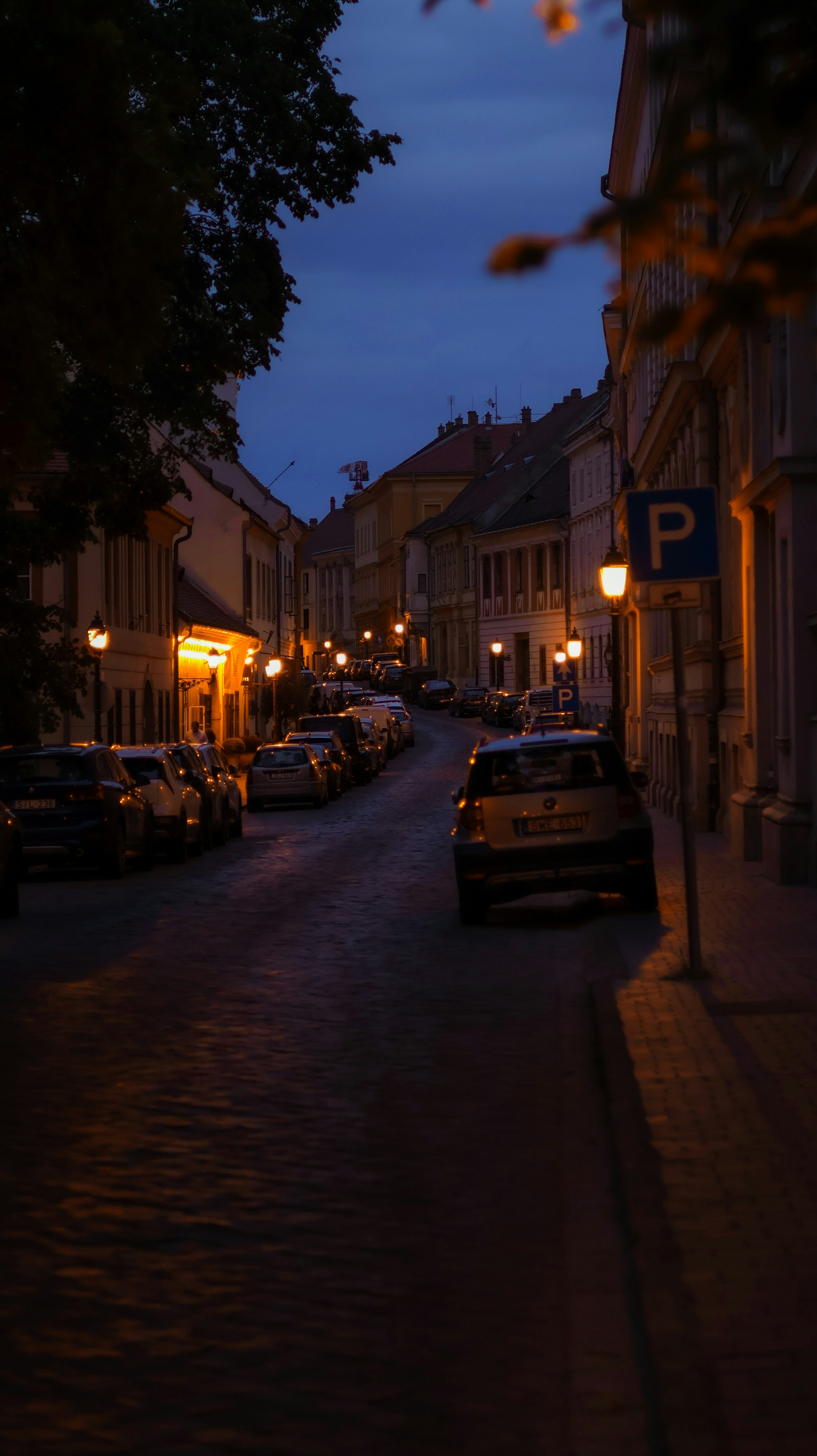 Evening Street Glow: Neon and Cobblestones