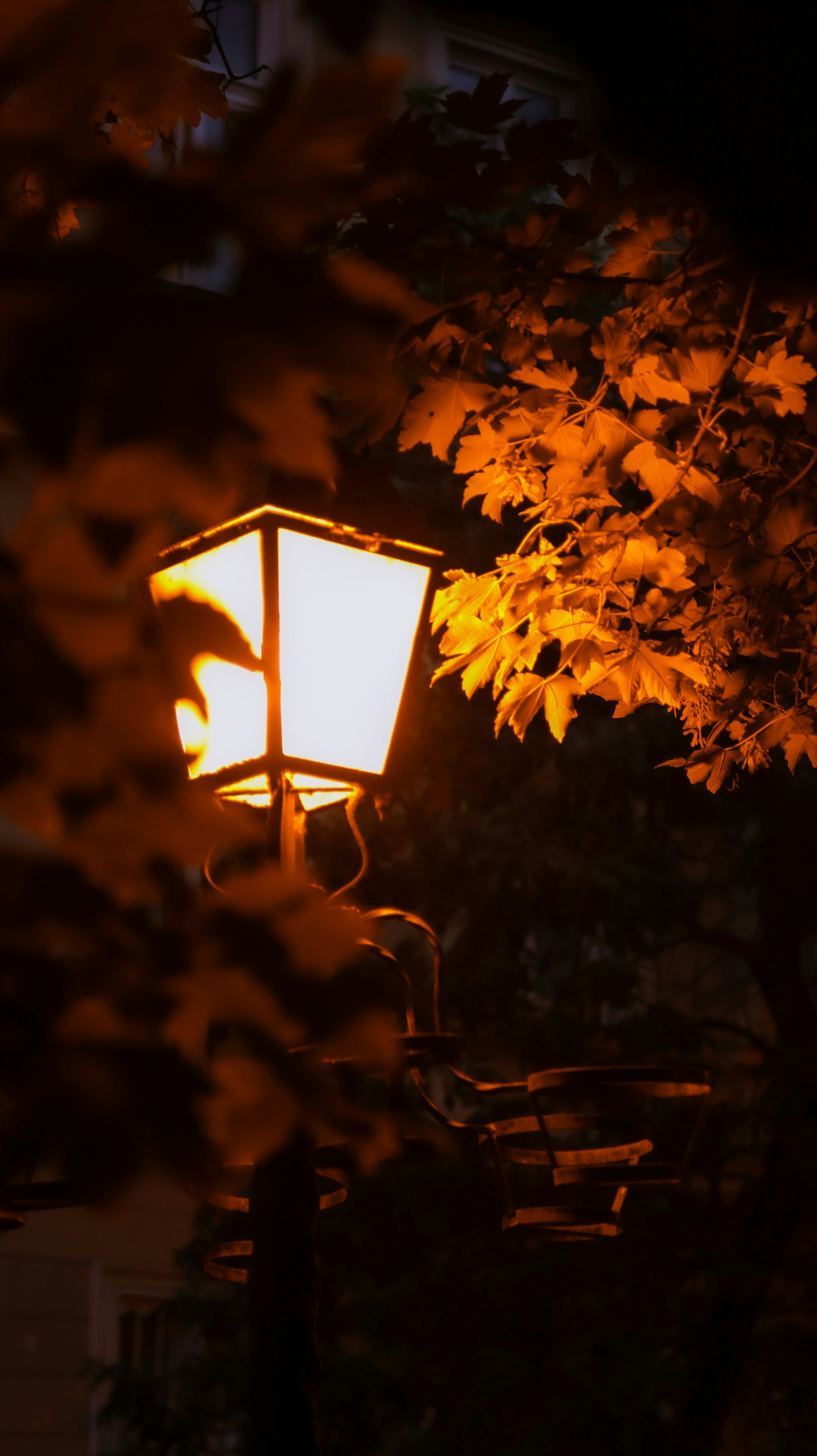 Amber Lantern in a Velvet Night