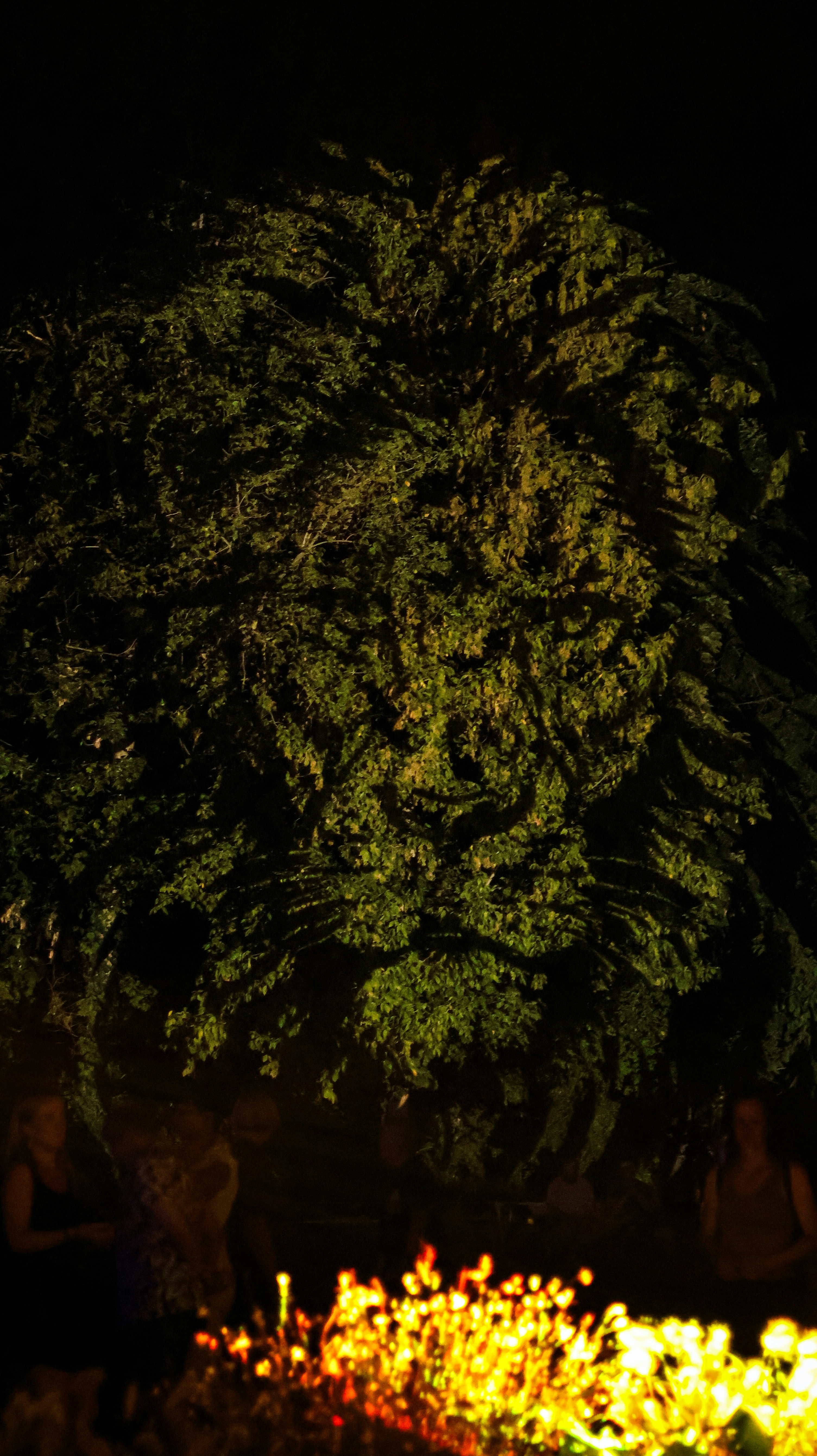 Nightfire silhouettes beneath a verdant canopy